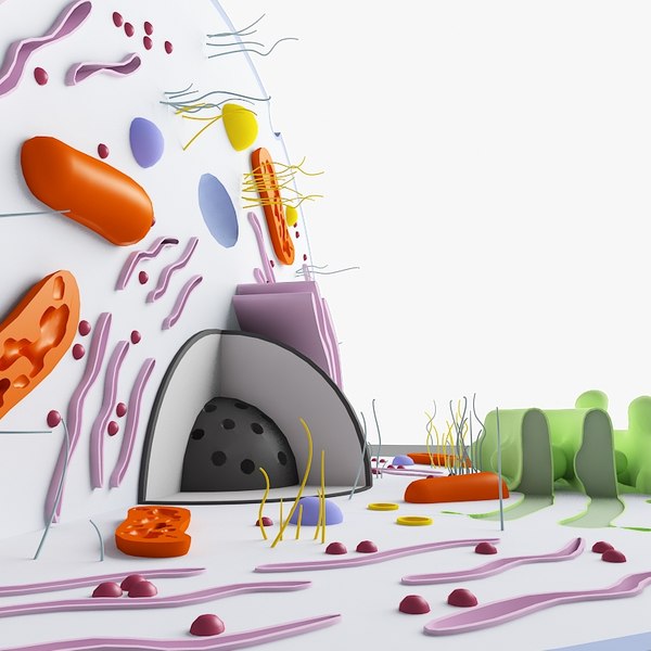 3d 3ds biological cell