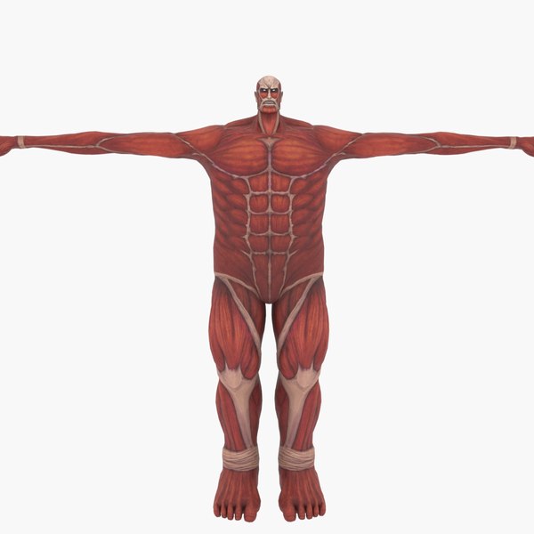 Attack On Titan 3D Models for Download | TurboSquid