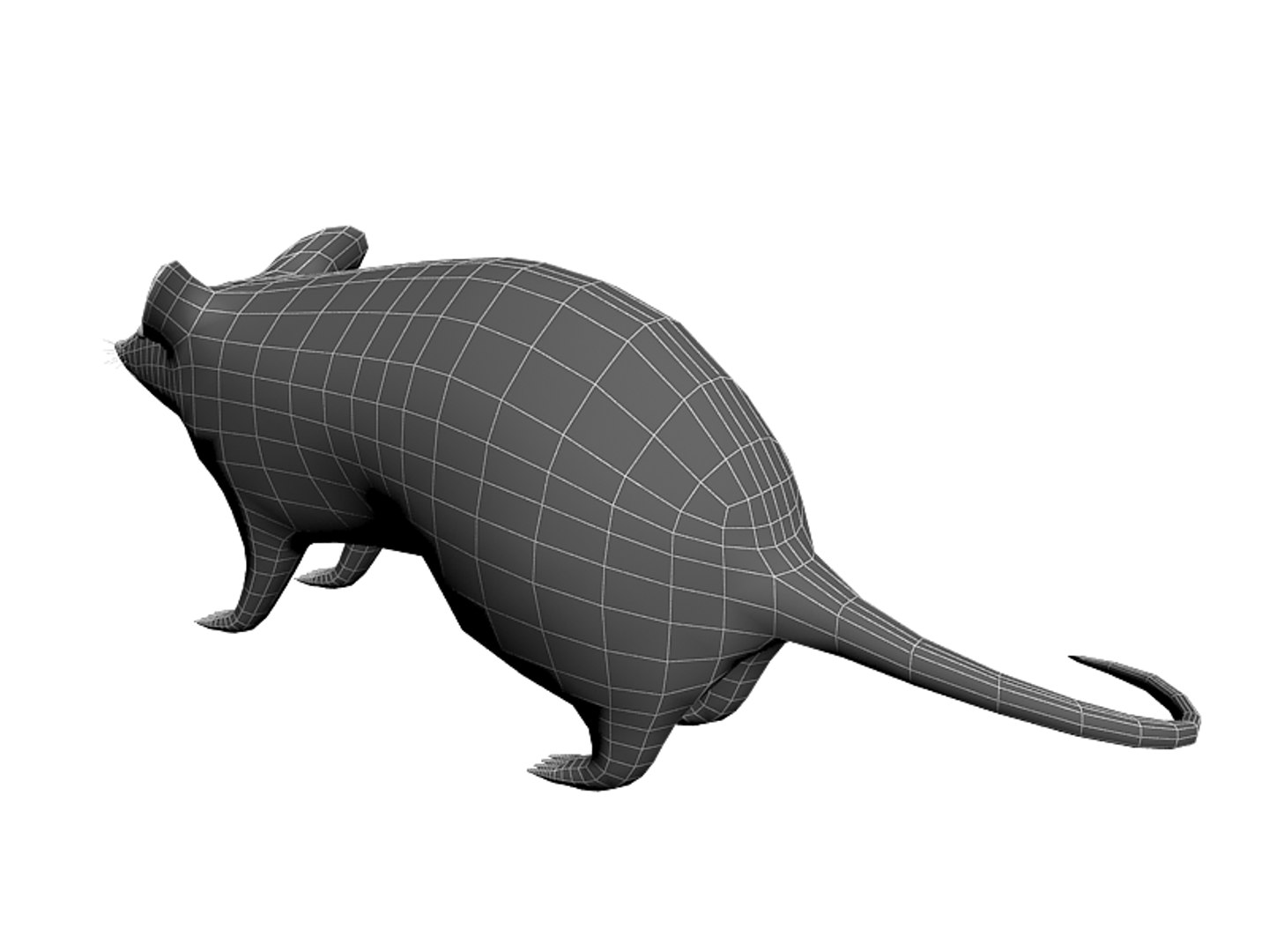 3d Rat