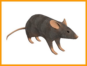 Rat DXF Models for Download | TurboSquid