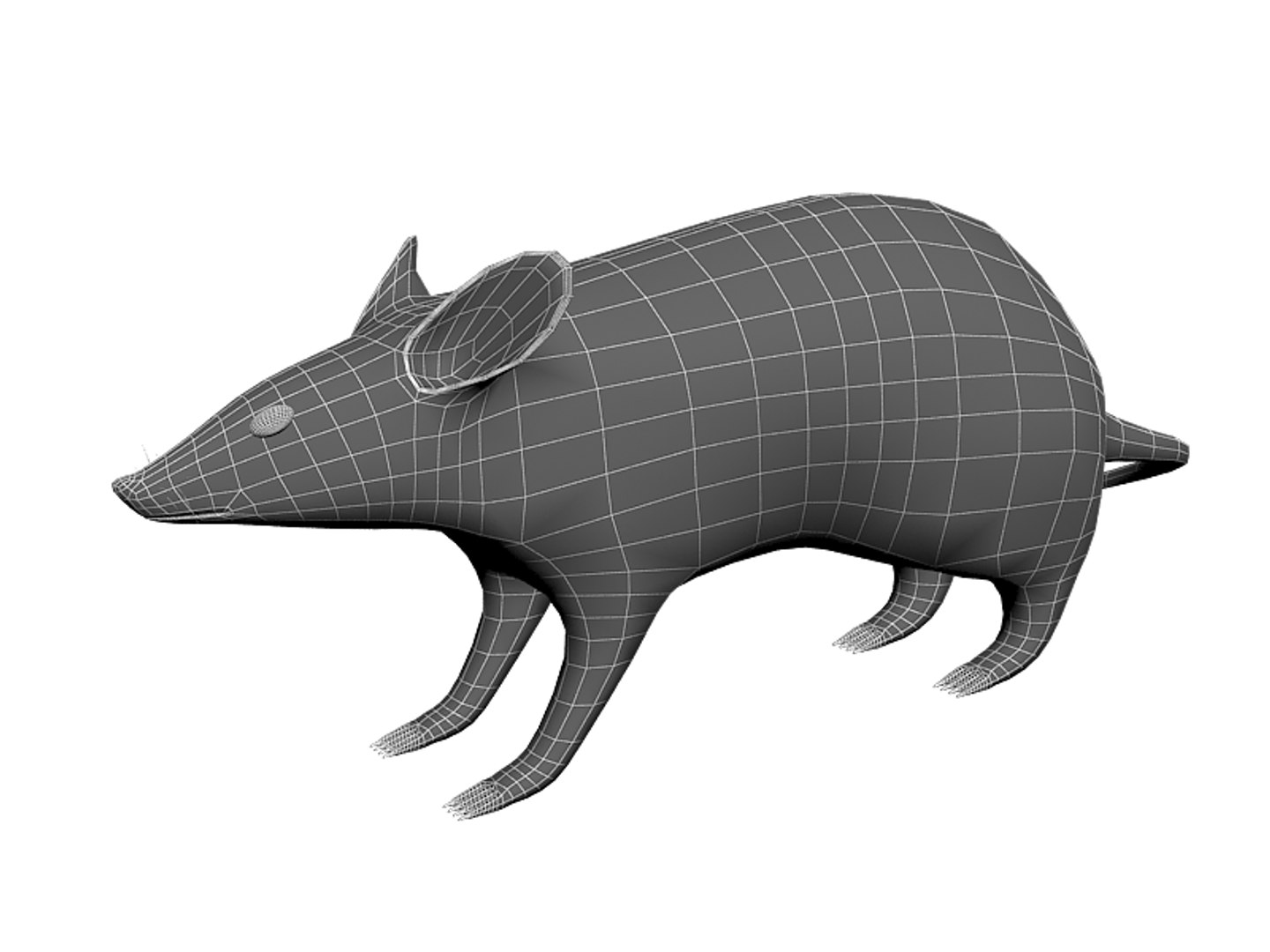 3d Rat