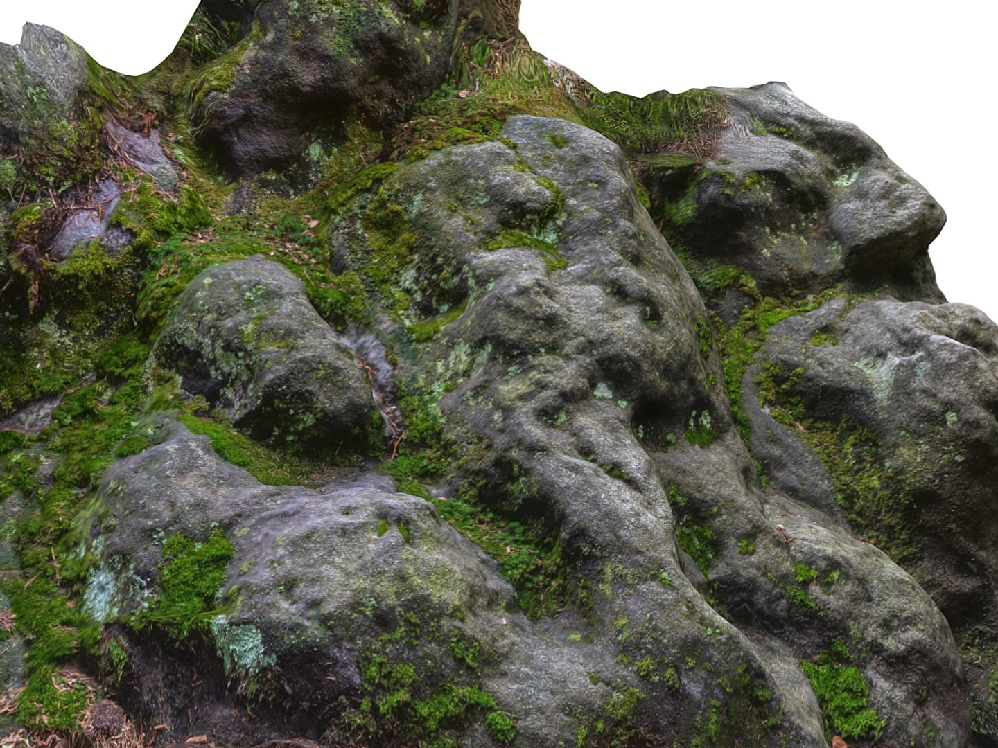 Forest Rock Cliff 16k 3D - TurboSquid 1176759