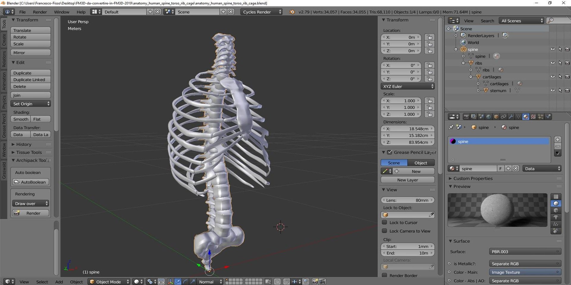 3D Torso Rib Cage Bones - TurboSquid 1176753