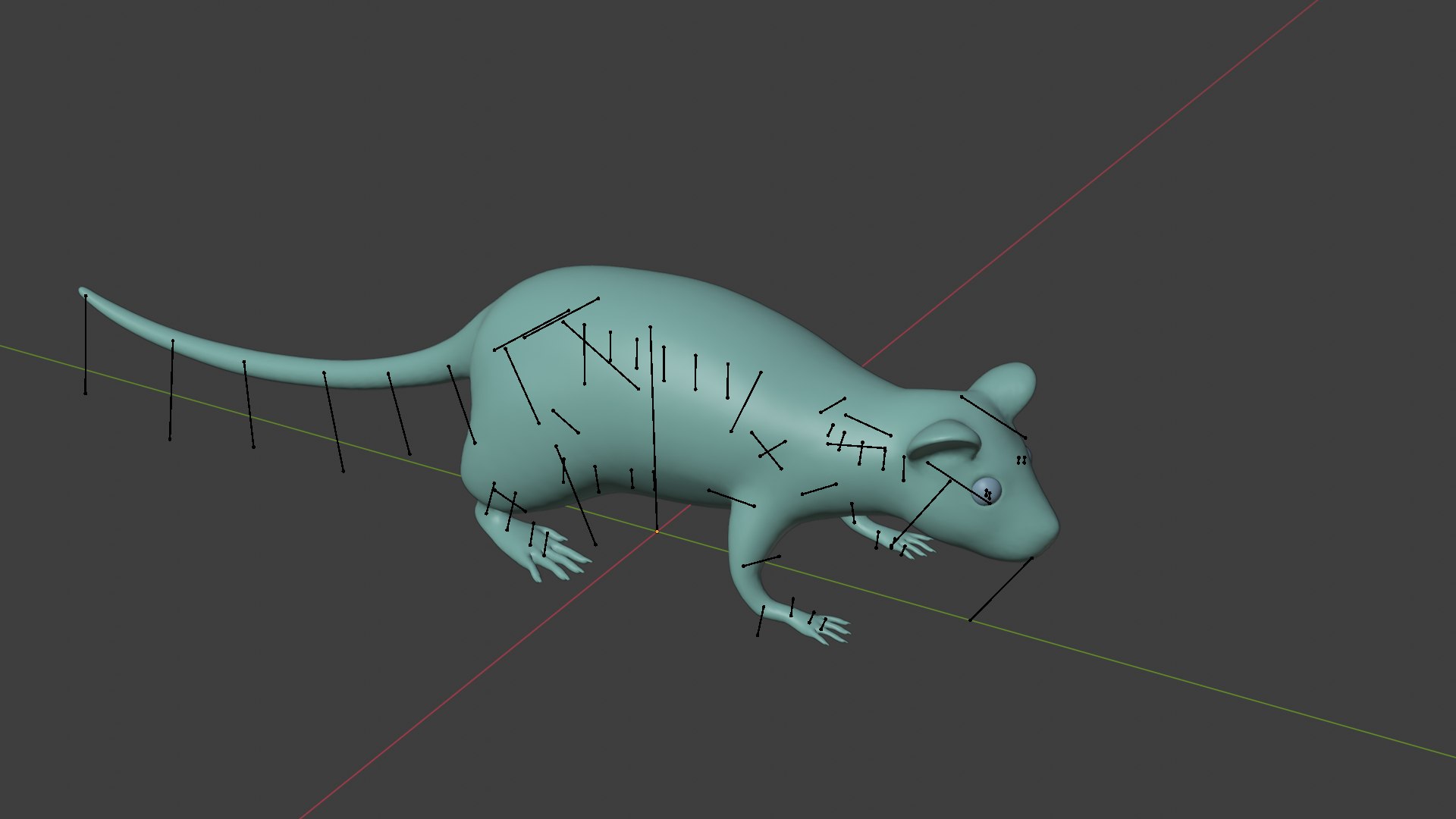 Rat 3D Model - TurboSquid 2404577