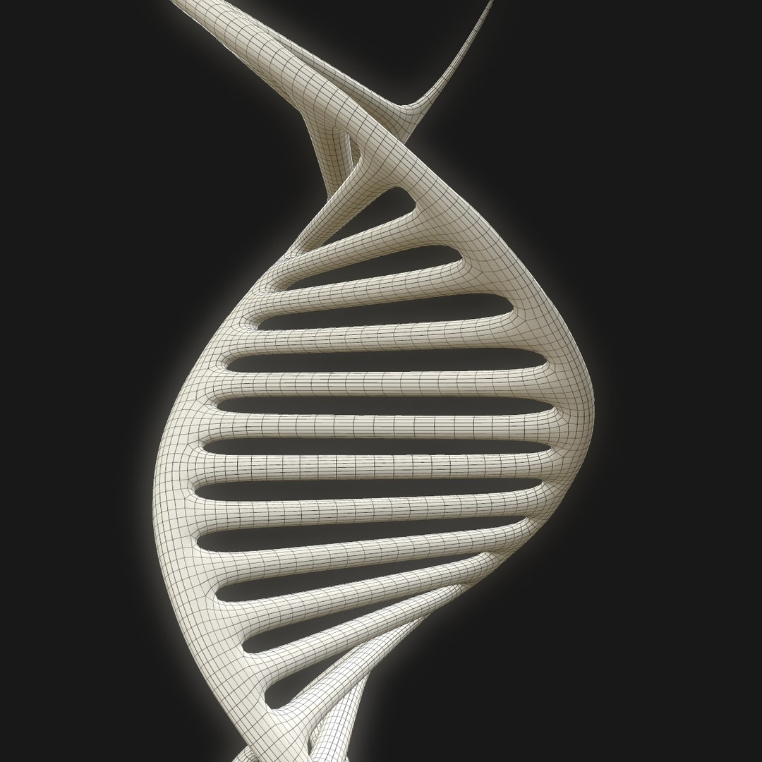 3D Dna Science Helix Model - TurboSquid 1430285