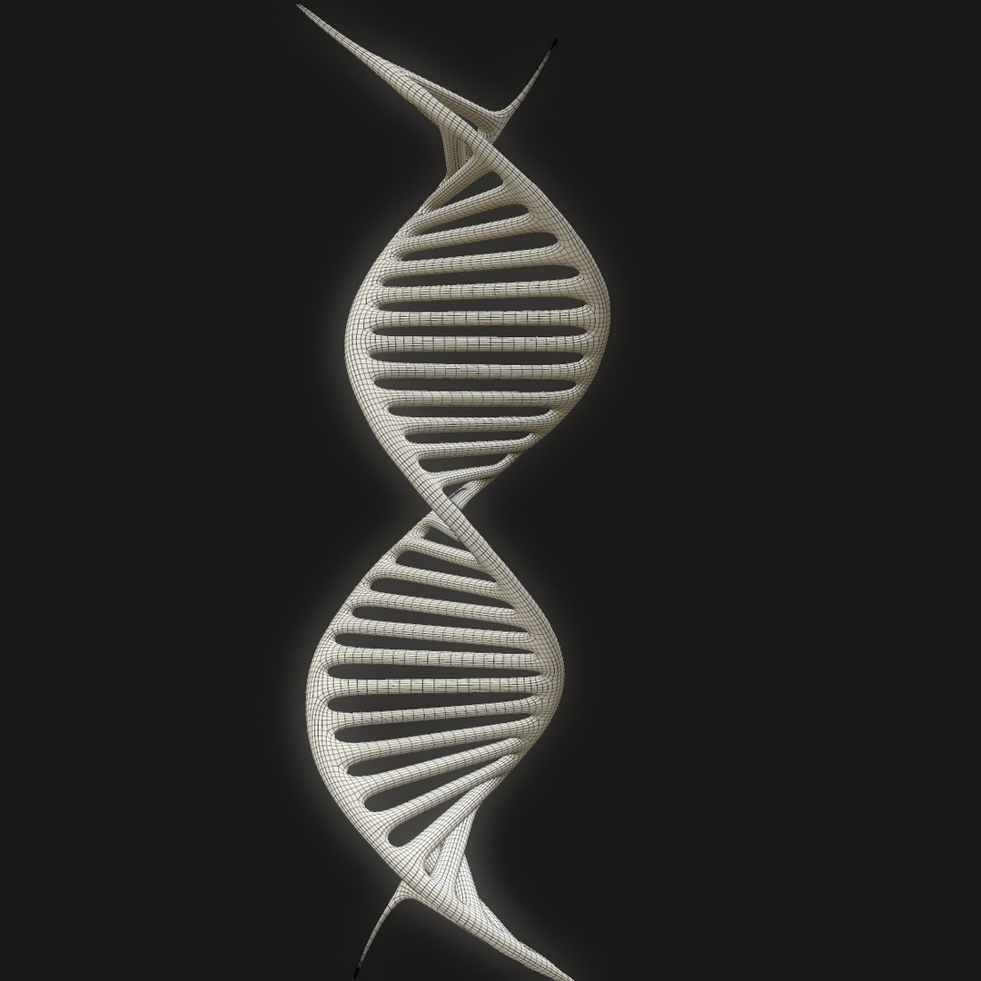 3D Dna Science Helix Model - TurboSquid 1430285