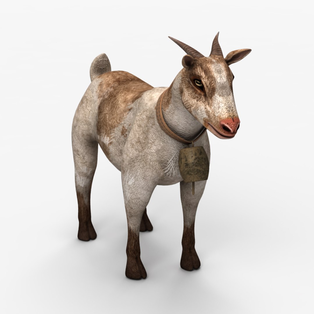 3d Goat Model