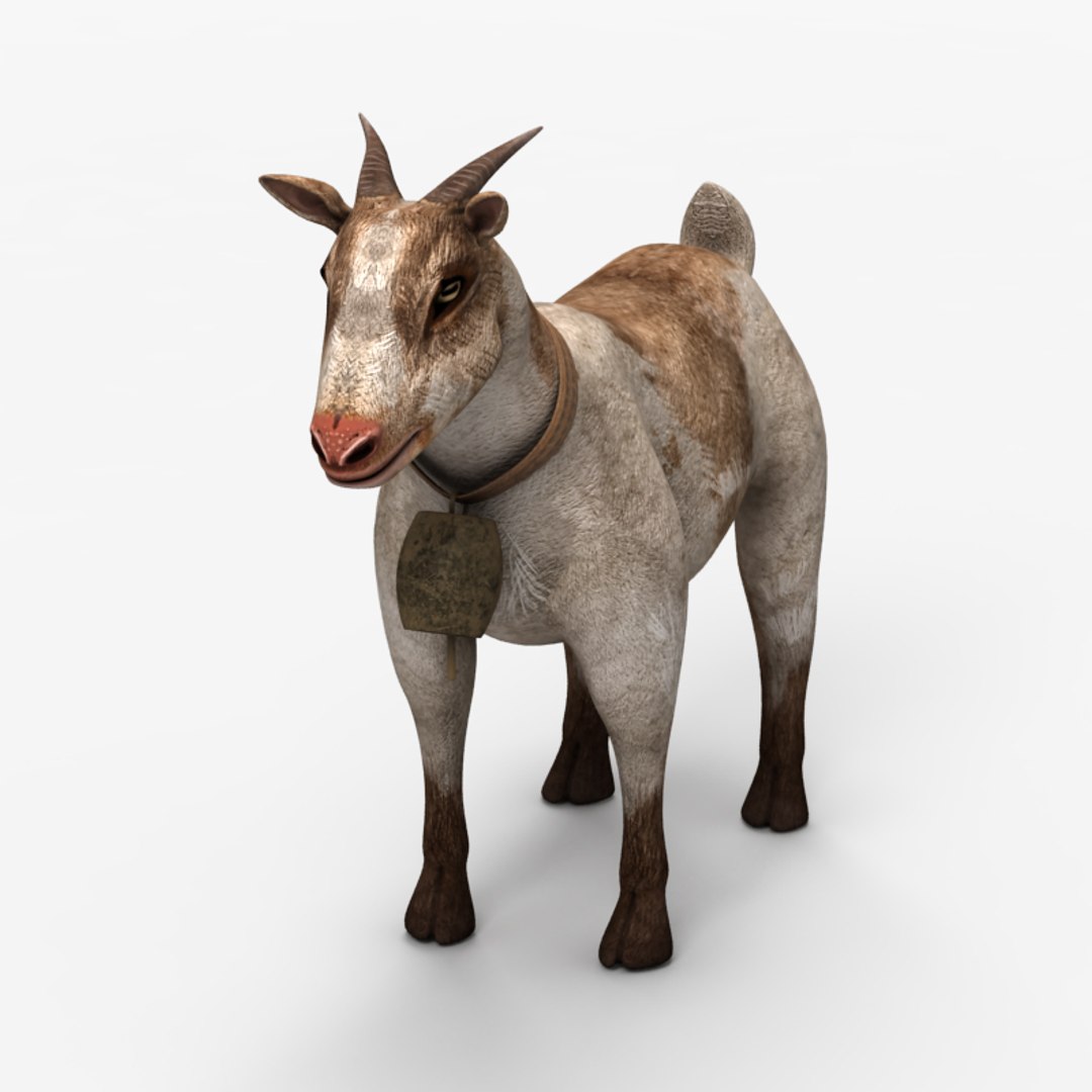 3d Goat Model