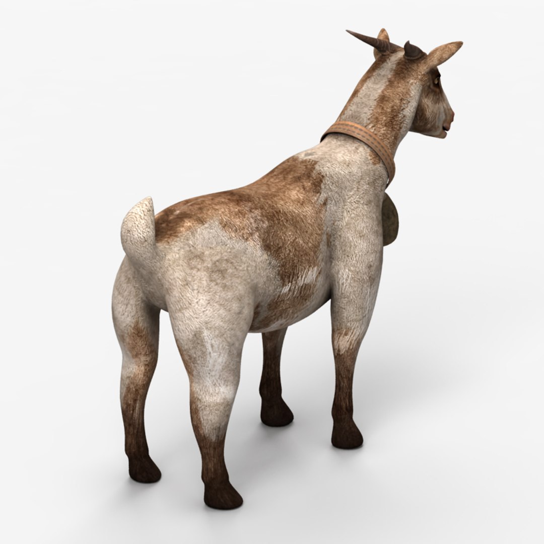 3d goat model