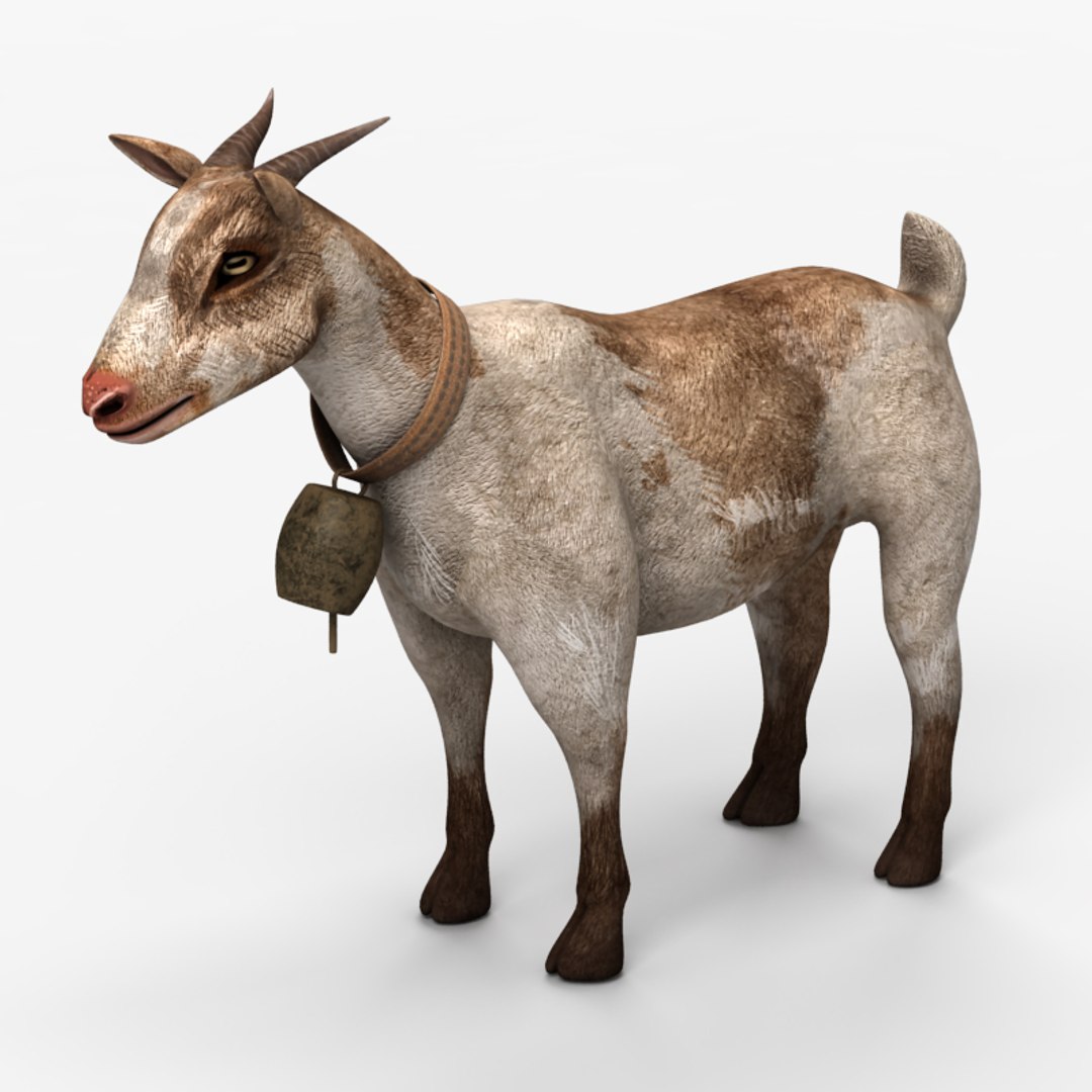 3d goat model