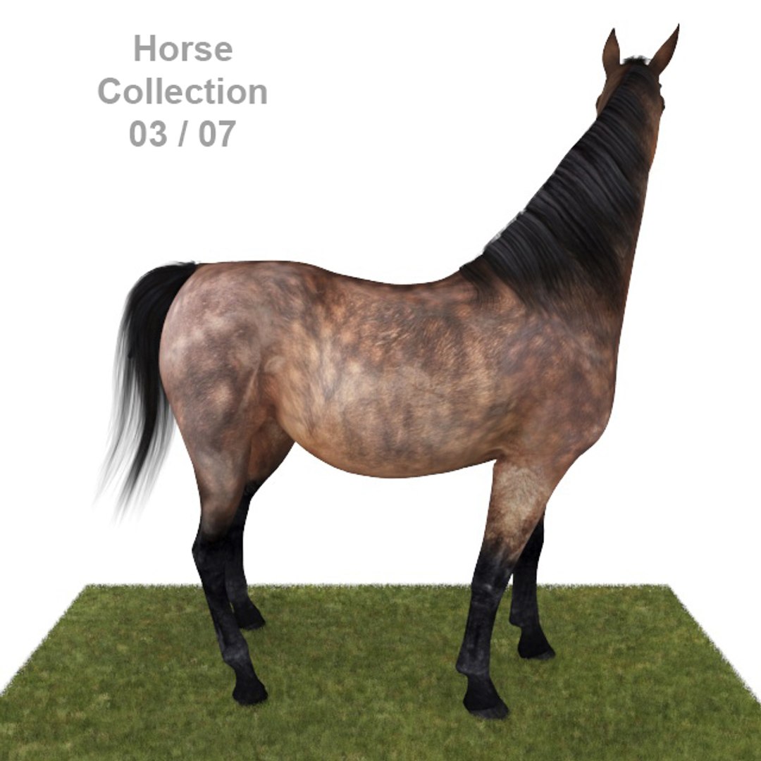 3d realistic horse 03 model