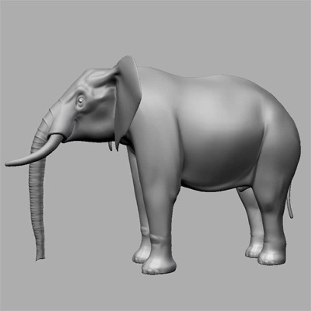 3d Elephant Model