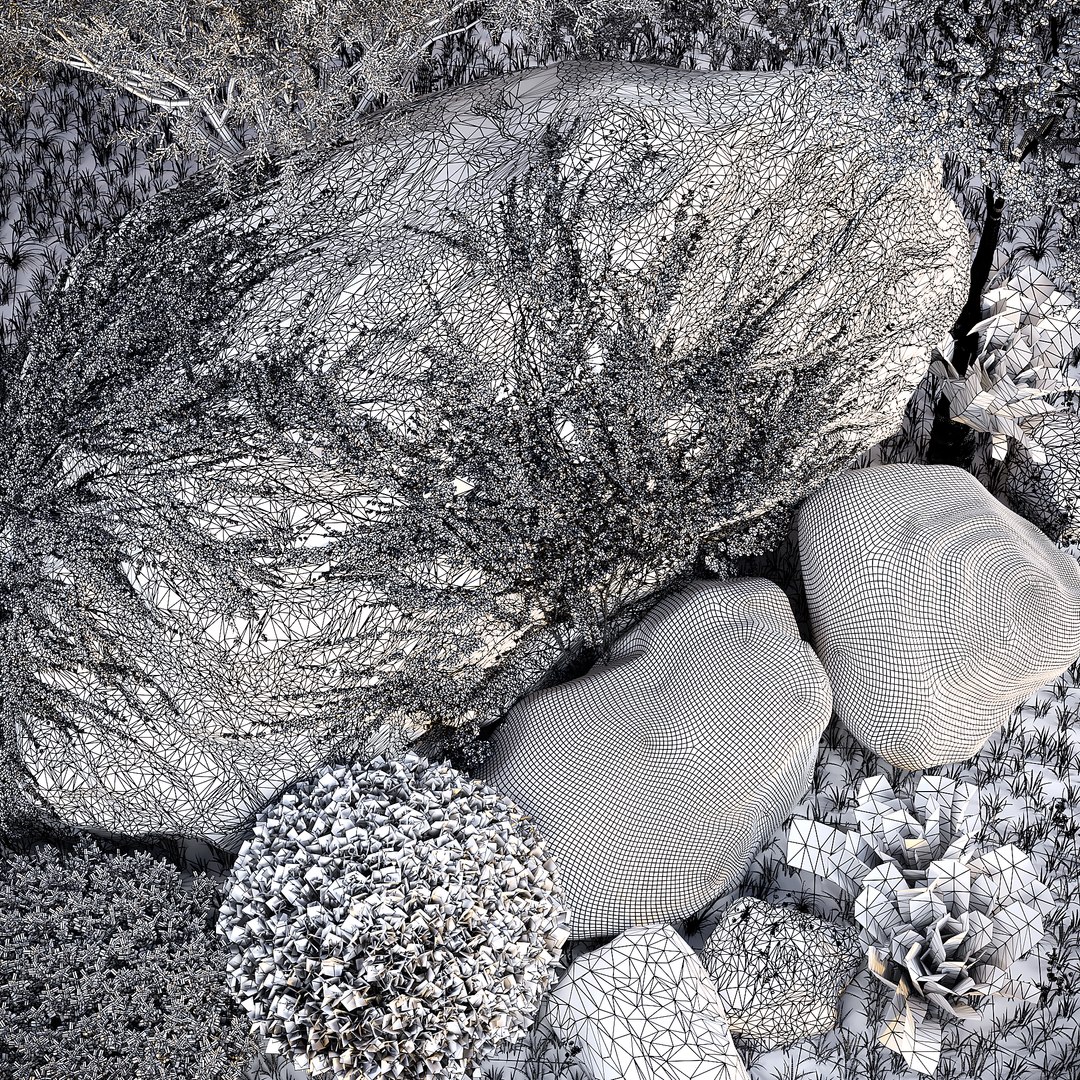 3D Model Rocks Plants Combination - TurboSquid 2082528