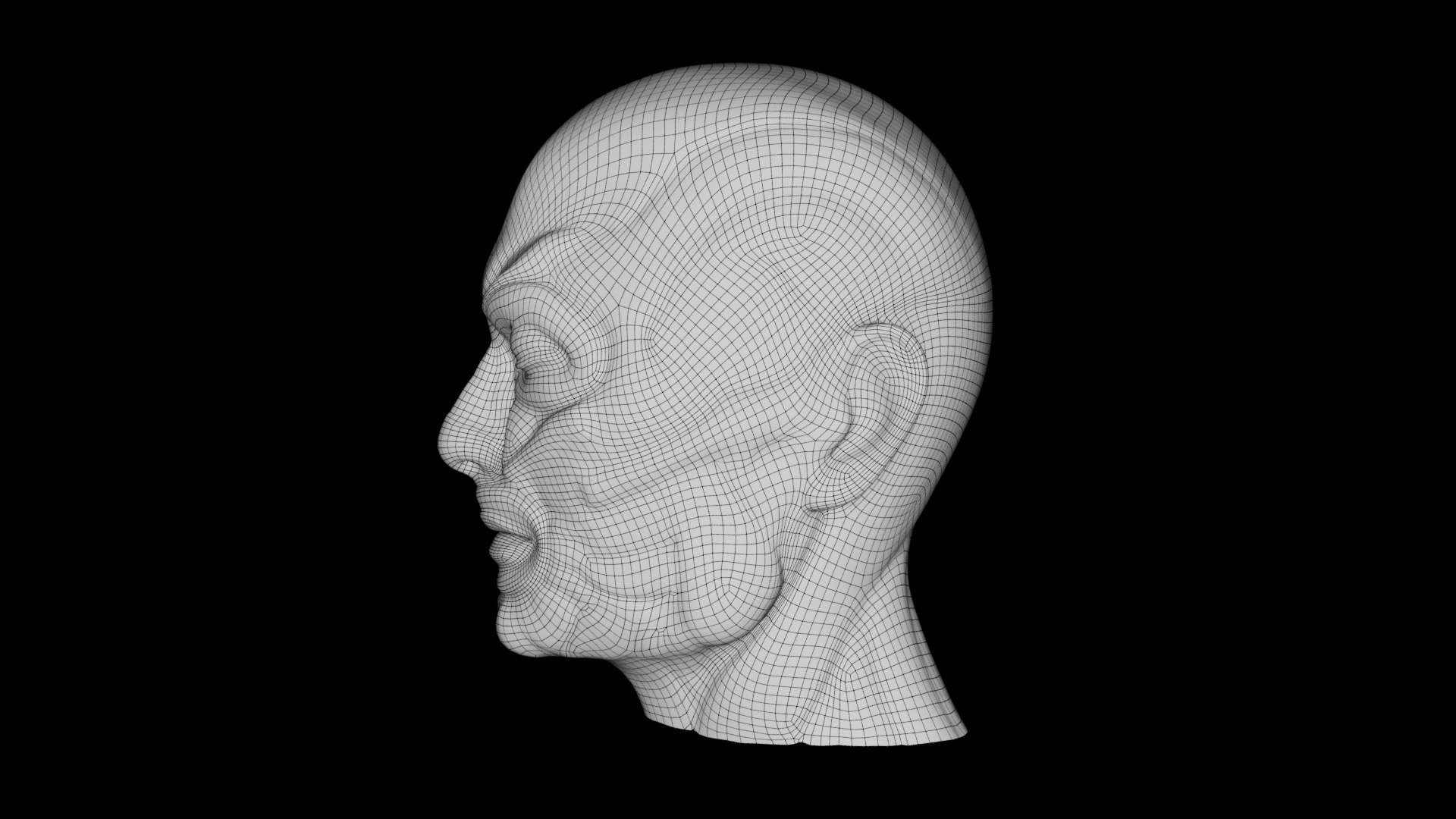 3D Human Anatomy-Muscular System-Head Left Lateral Superficial View ...