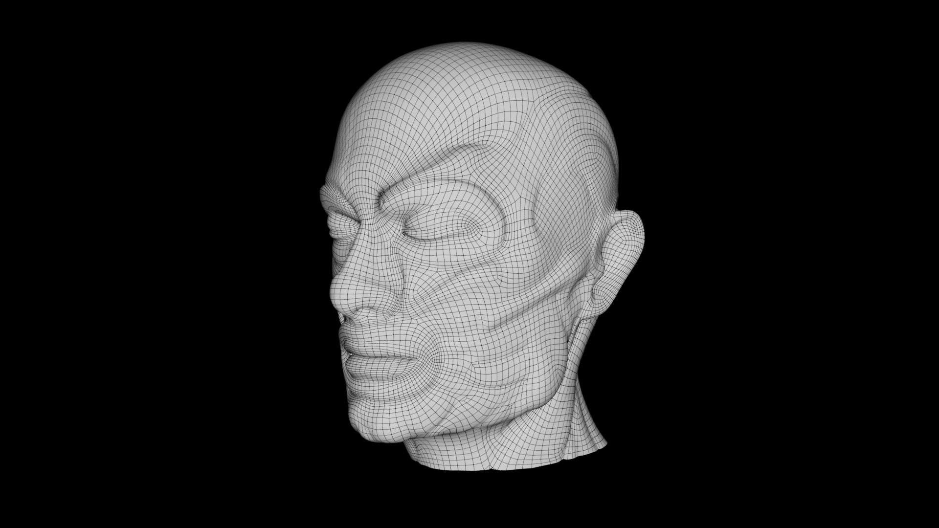 3D Human Anatomy-Muscular System-Head Left Lateral Superficial View ...