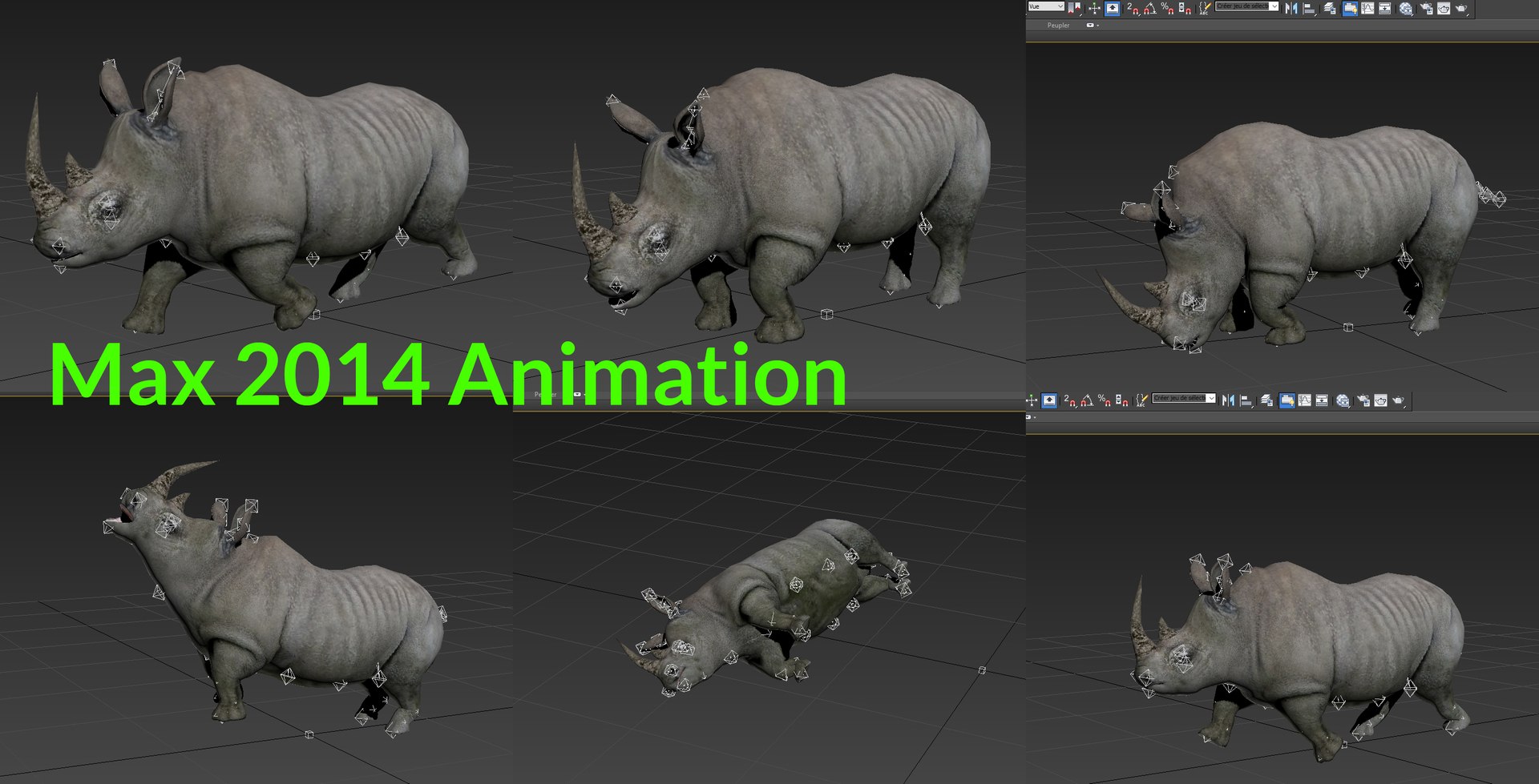 Realistic Rhino Rigged Animation 3D Model - TurboSquid 1270636