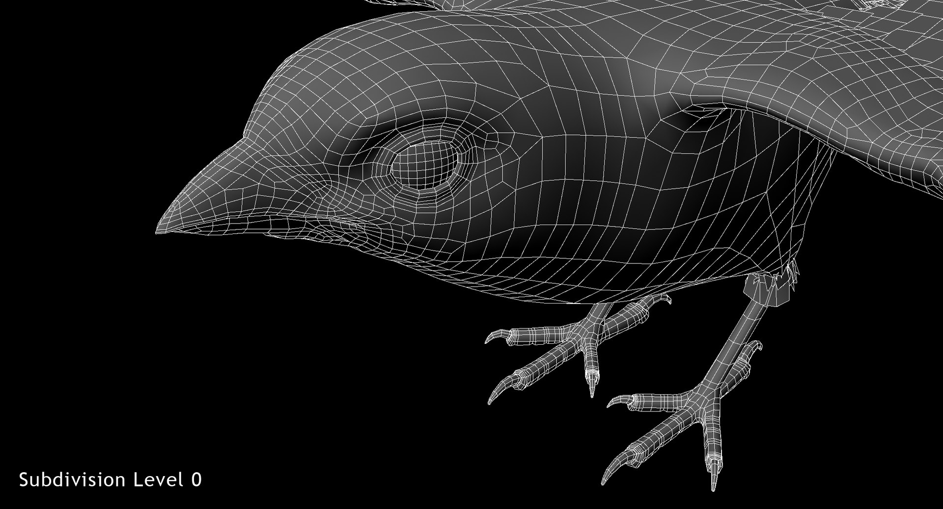 3D rigged house sparrow - TurboSquid 1381189
