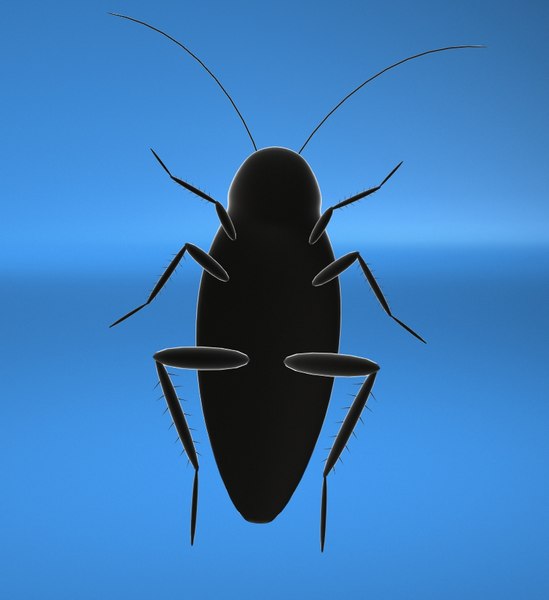 3d cockroach model