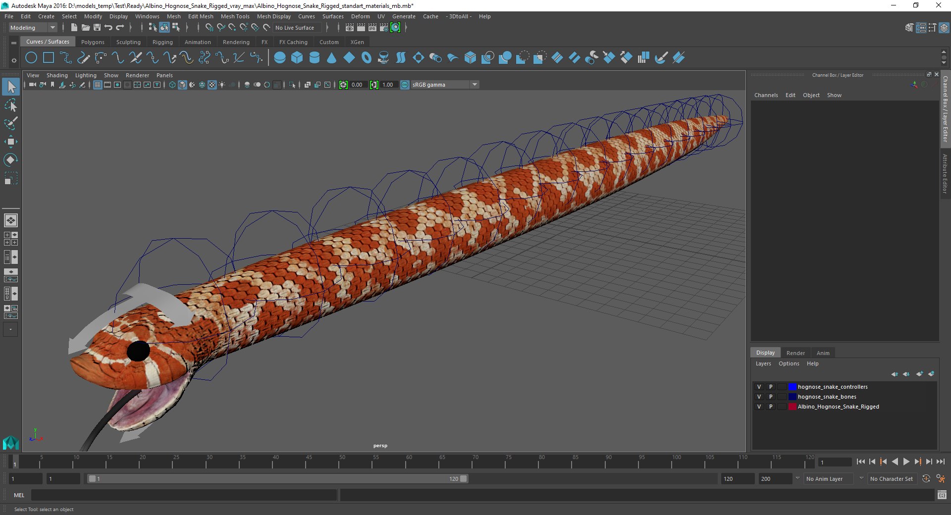 Albino hognose snake rigged 3D - TurboSquid 1500706