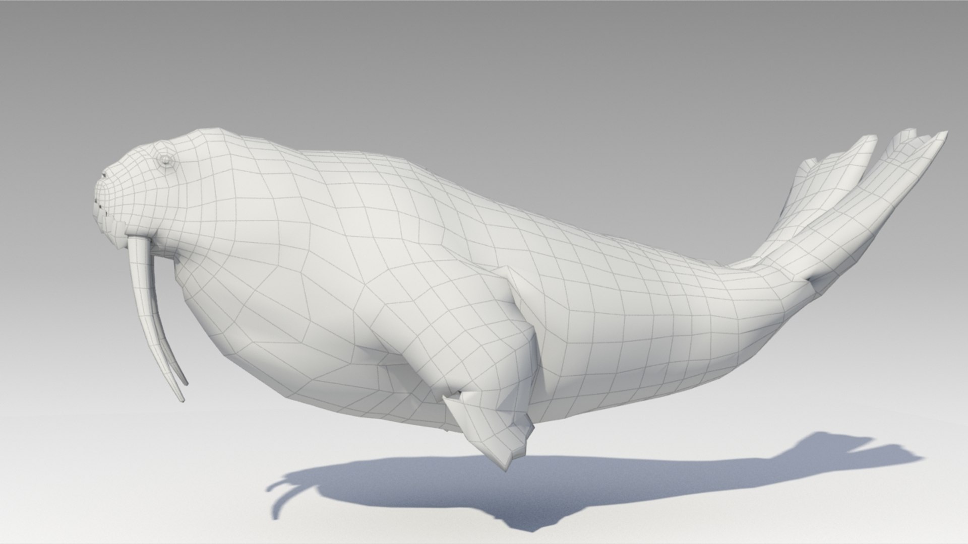 Walrus Animations 3D Model - TurboSquid 1159353