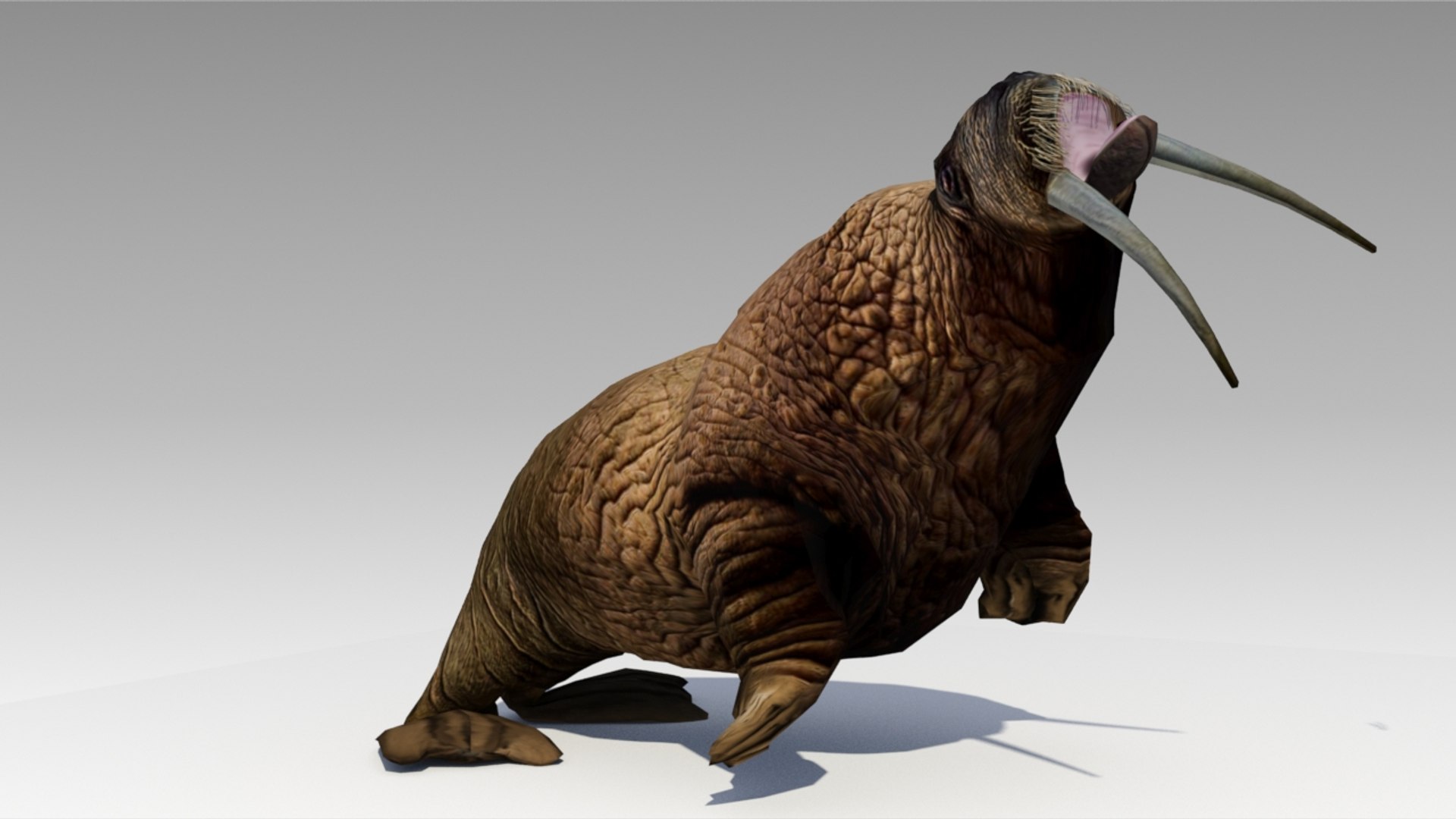 Walrus Animations 3D Model - TurboSquid 1159353