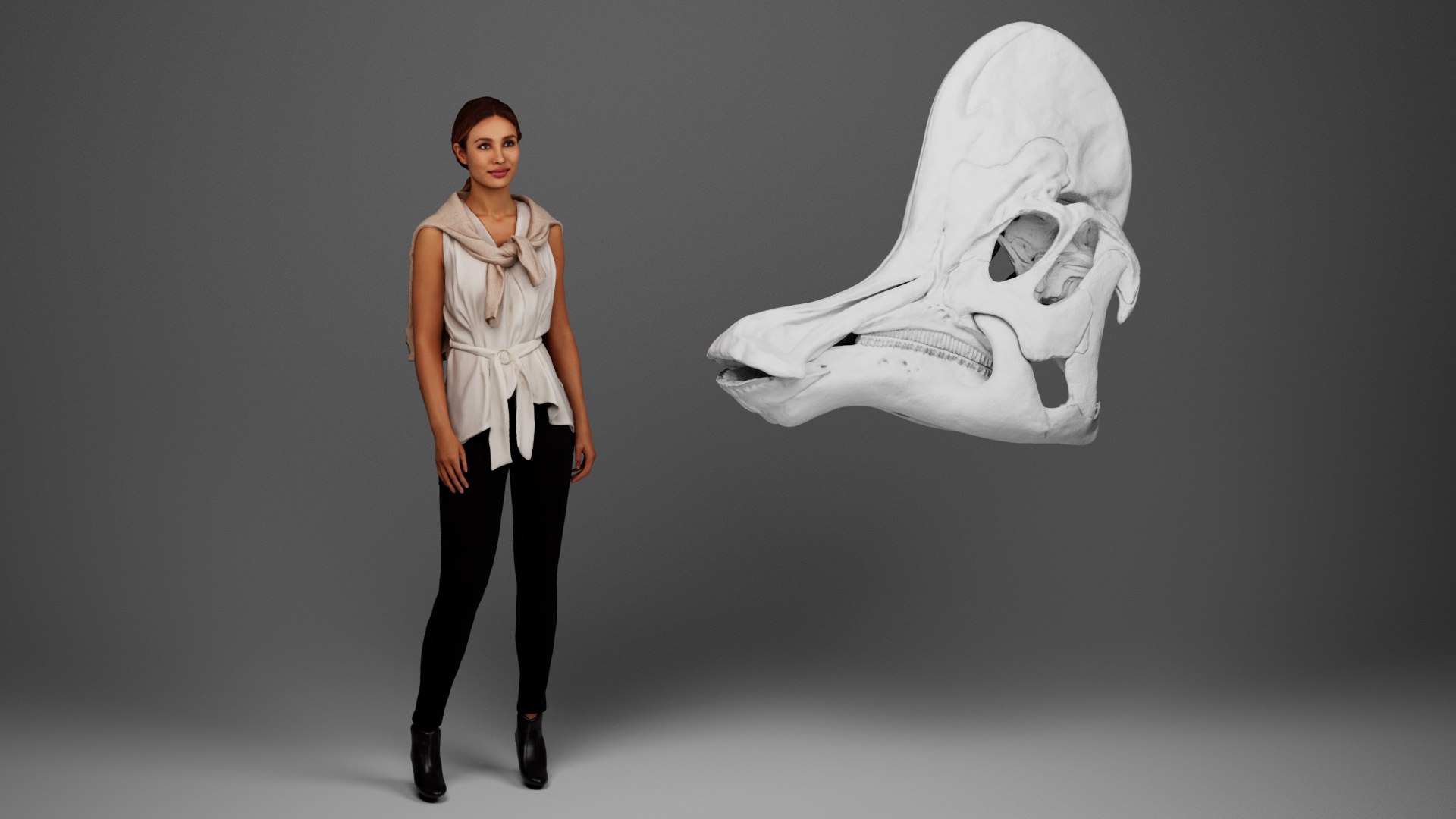 3D Corythosaurus Skull - TurboSquid 1980088