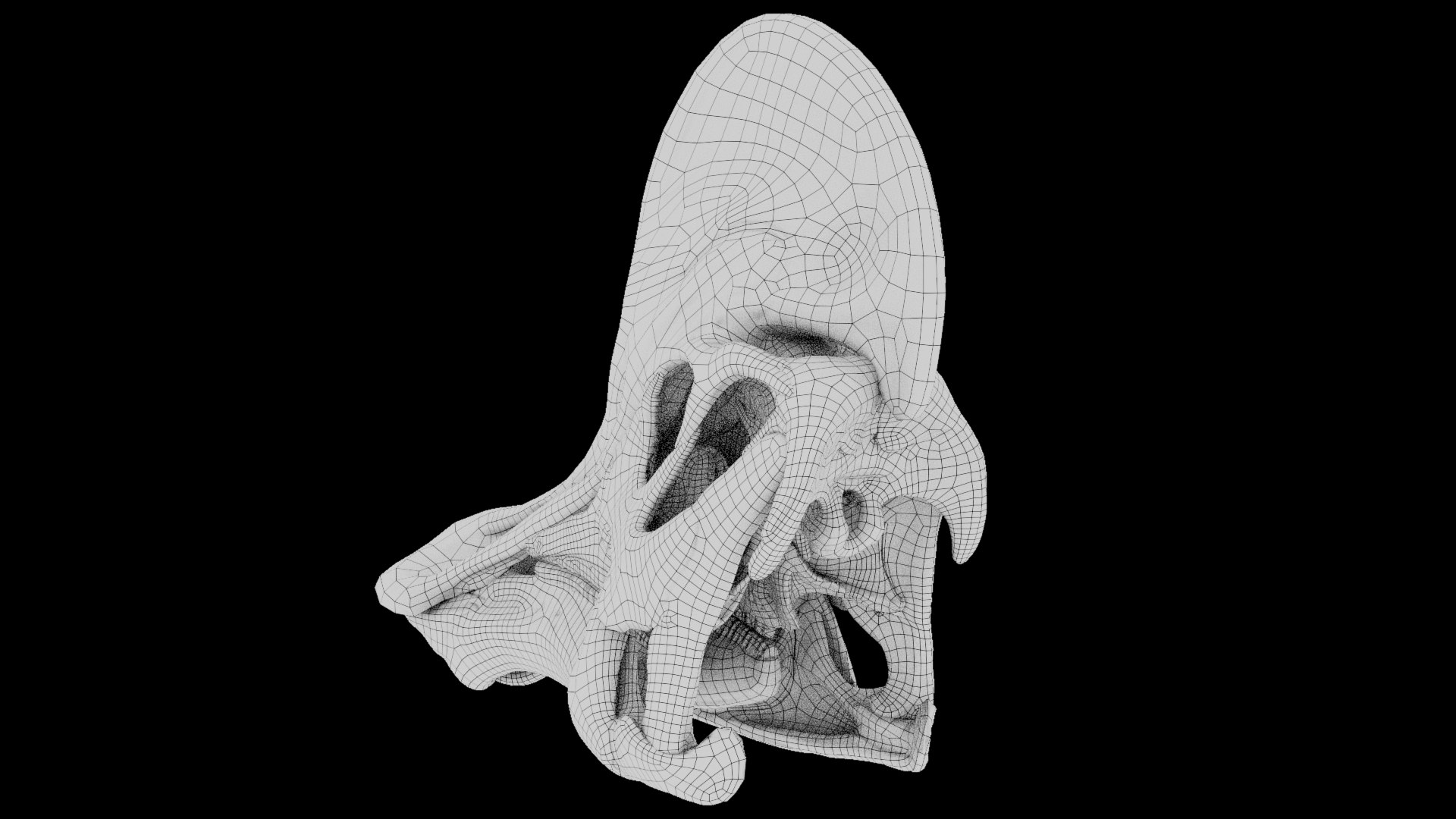 3D Corythosaurus Skull - TurboSquid 1980088