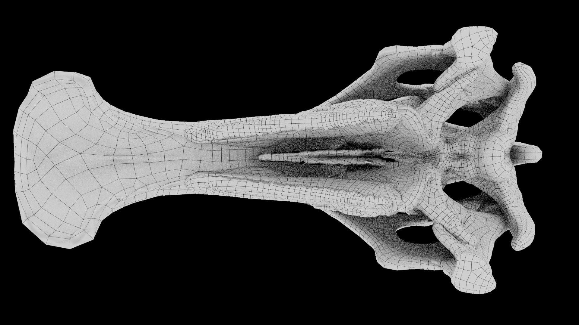 3D Corythosaurus skull - TurboSquid 1980088