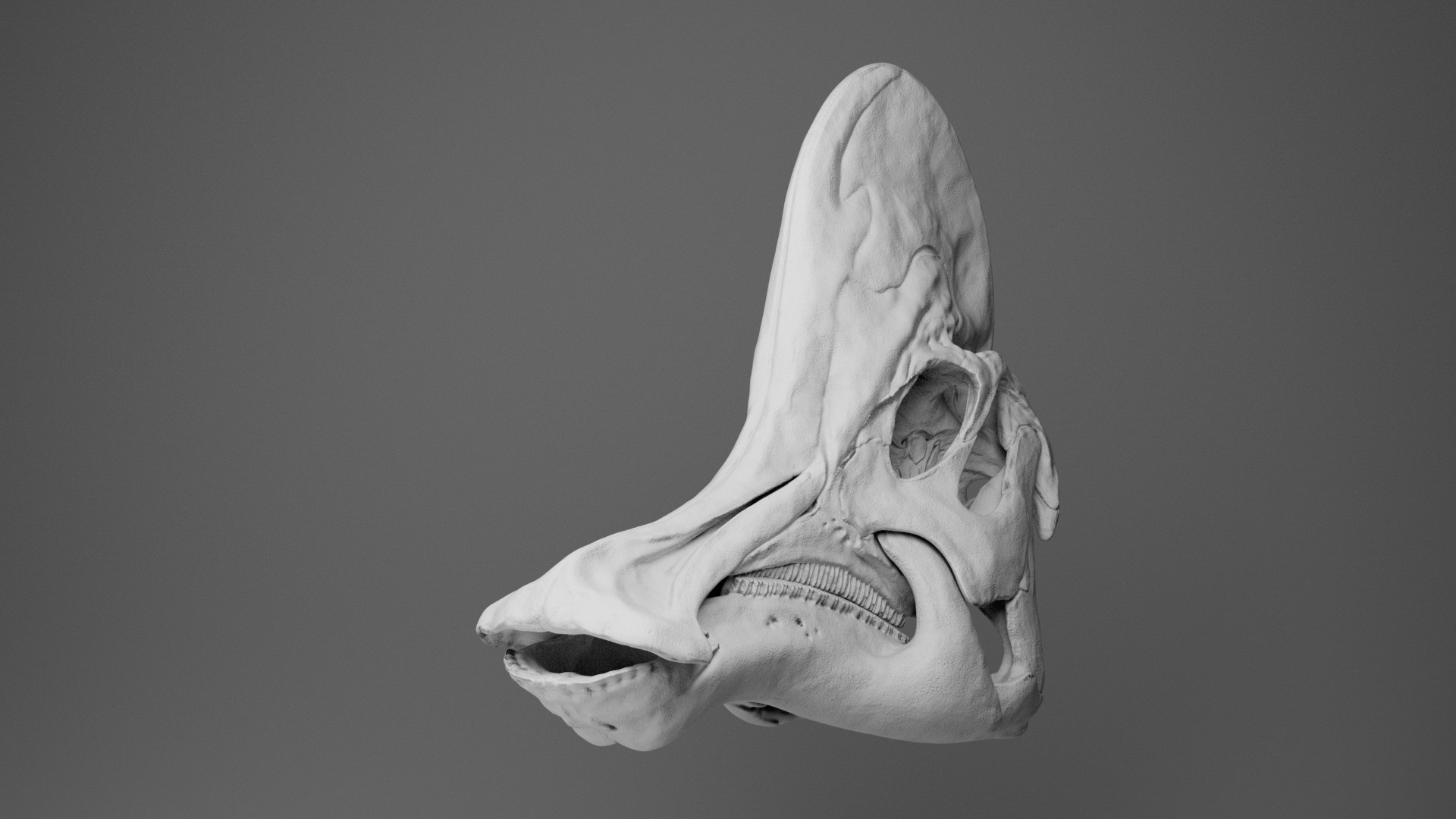 3D Corythosaurus skull - TurboSquid 1980088