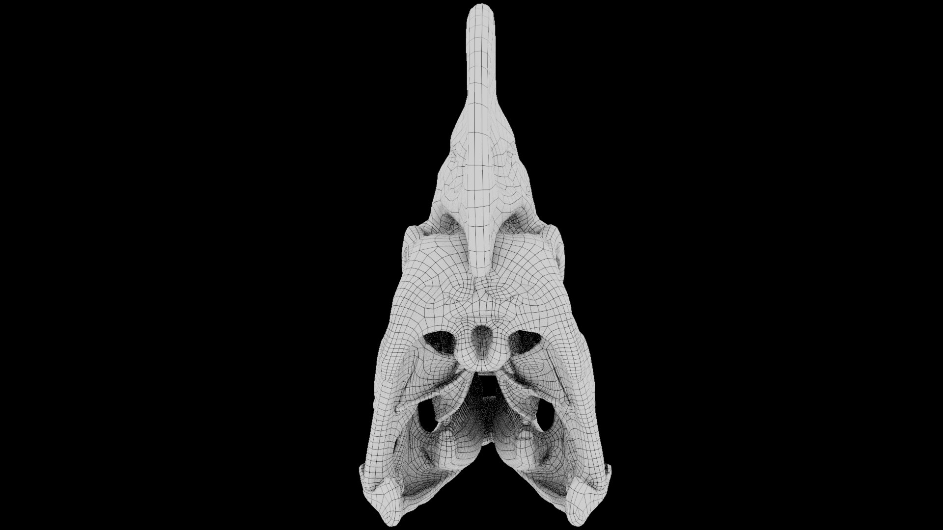 3D Corythosaurus Skull - TurboSquid 1980088