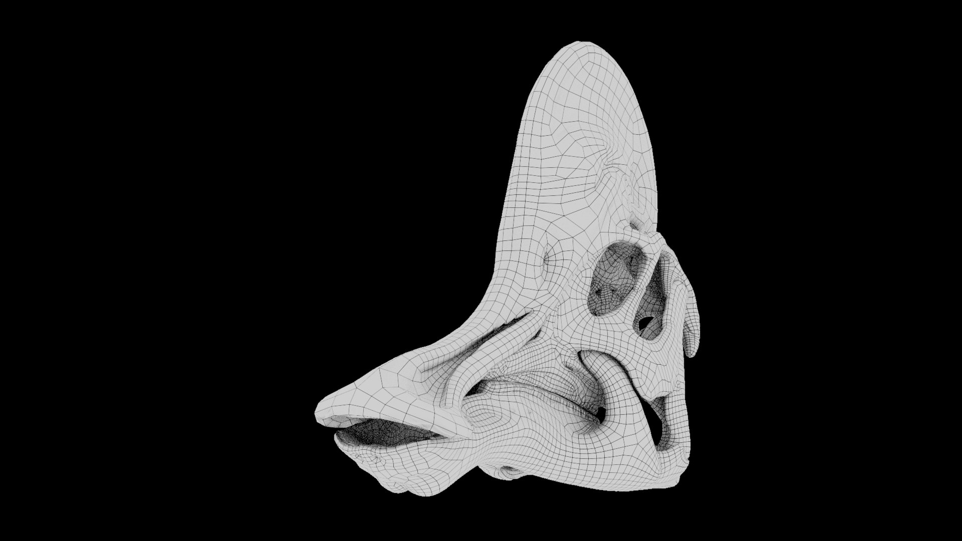 3D Corythosaurus skull - TurboSquid 1980088