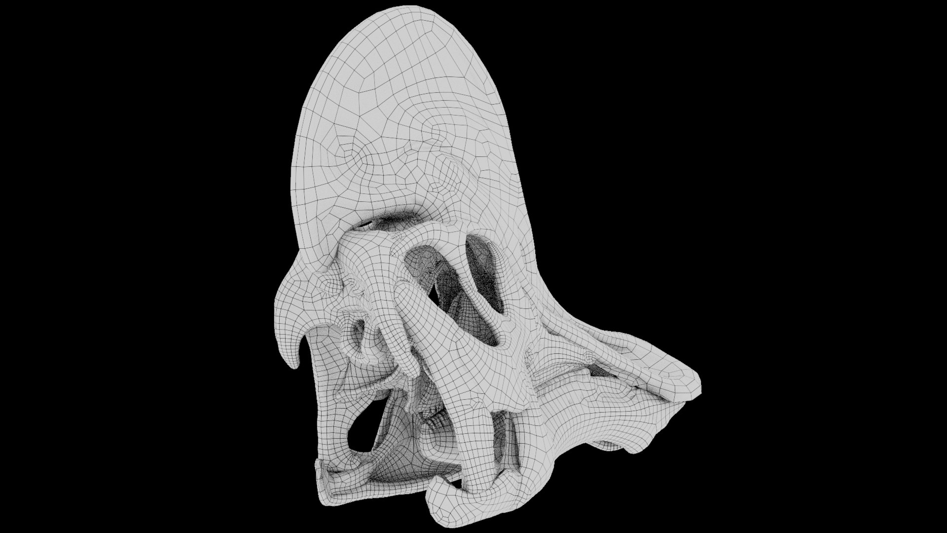 3D Corythosaurus Skull - TurboSquid 1980088