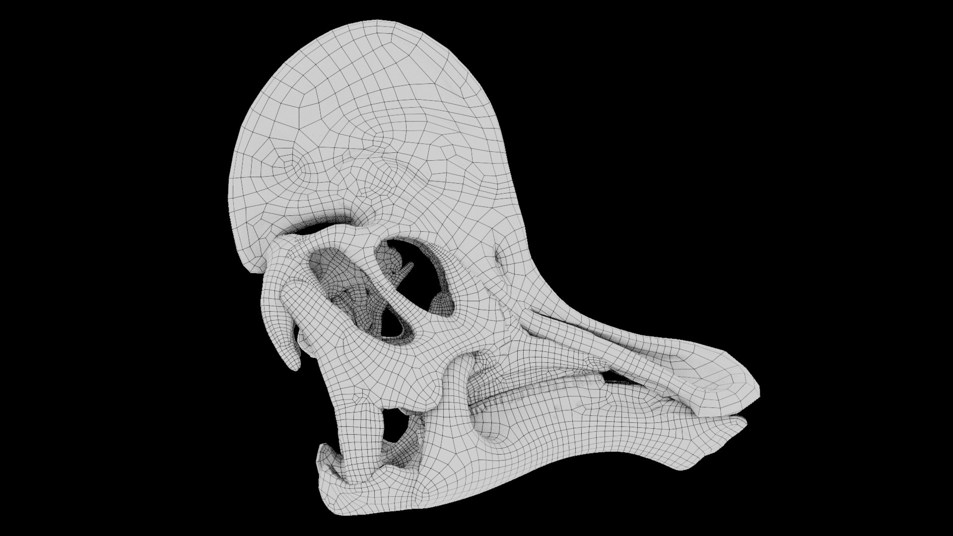3D Corythosaurus Skull - TurboSquid 1980088