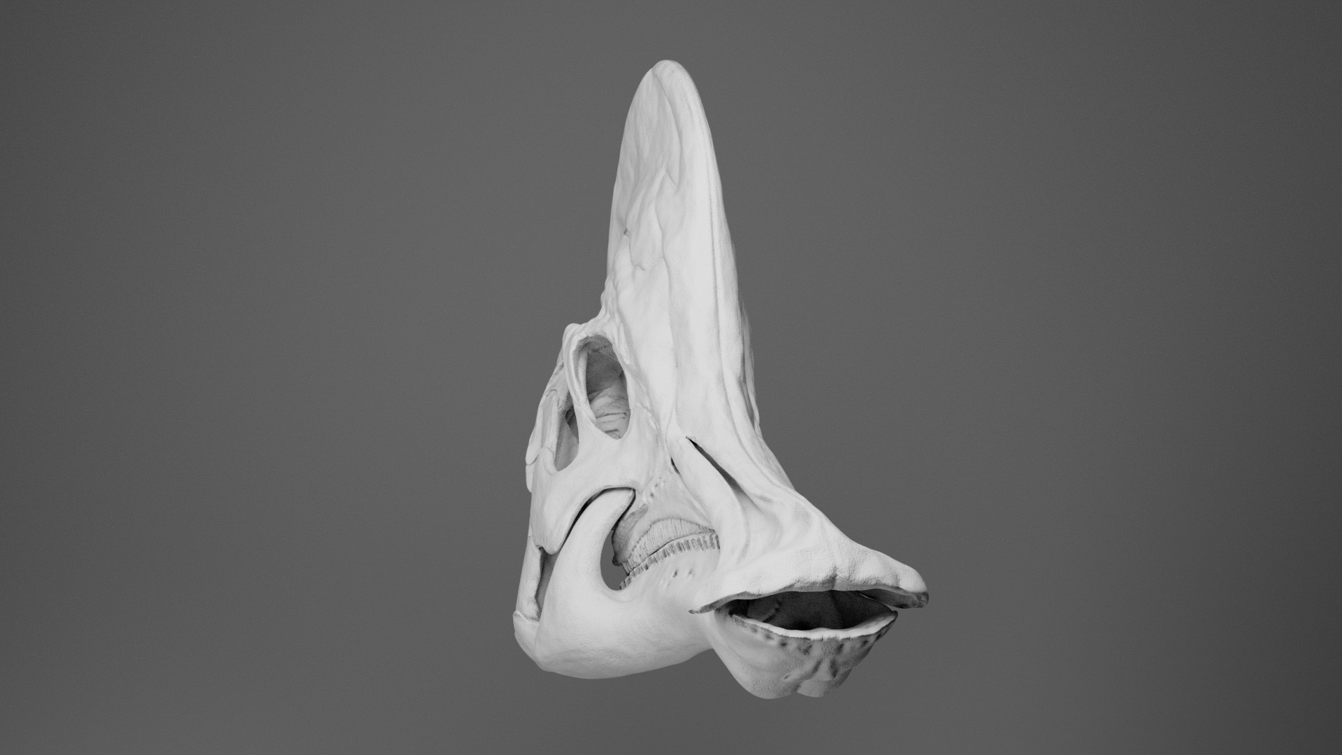 3D Corythosaurus skull - TurboSquid 1980088