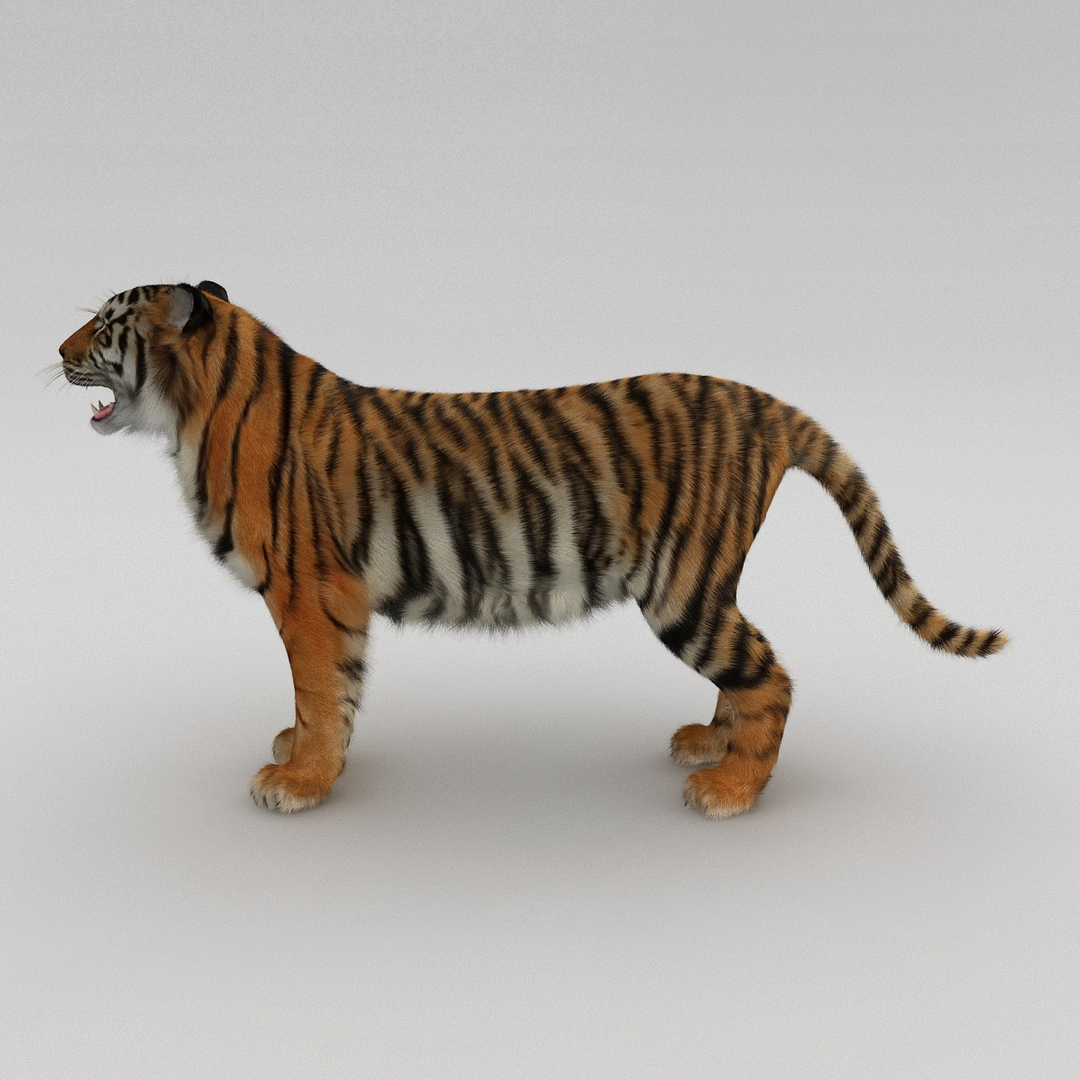 Max Tiger 2 Fur Rigged
