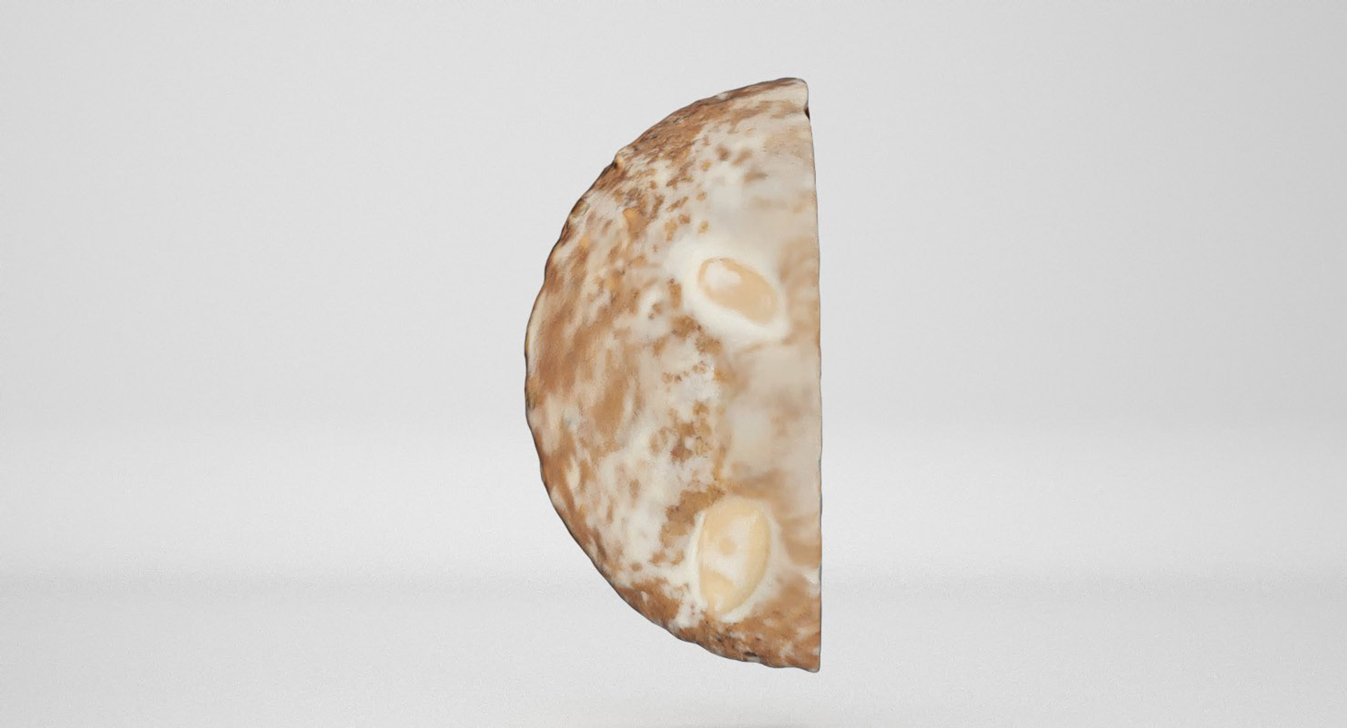 Hand half gingerbread elisen 3D model - TurboSquid 1423187