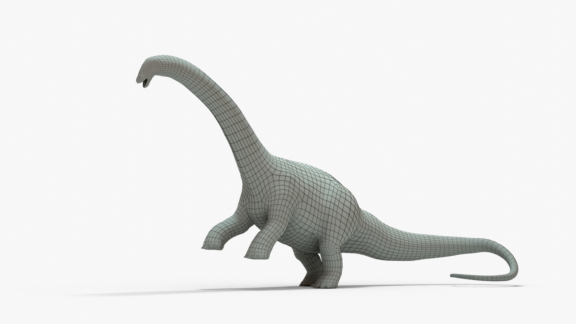 modelo 3d Esqueleto de malla base aparejado de Brontosaurio ...