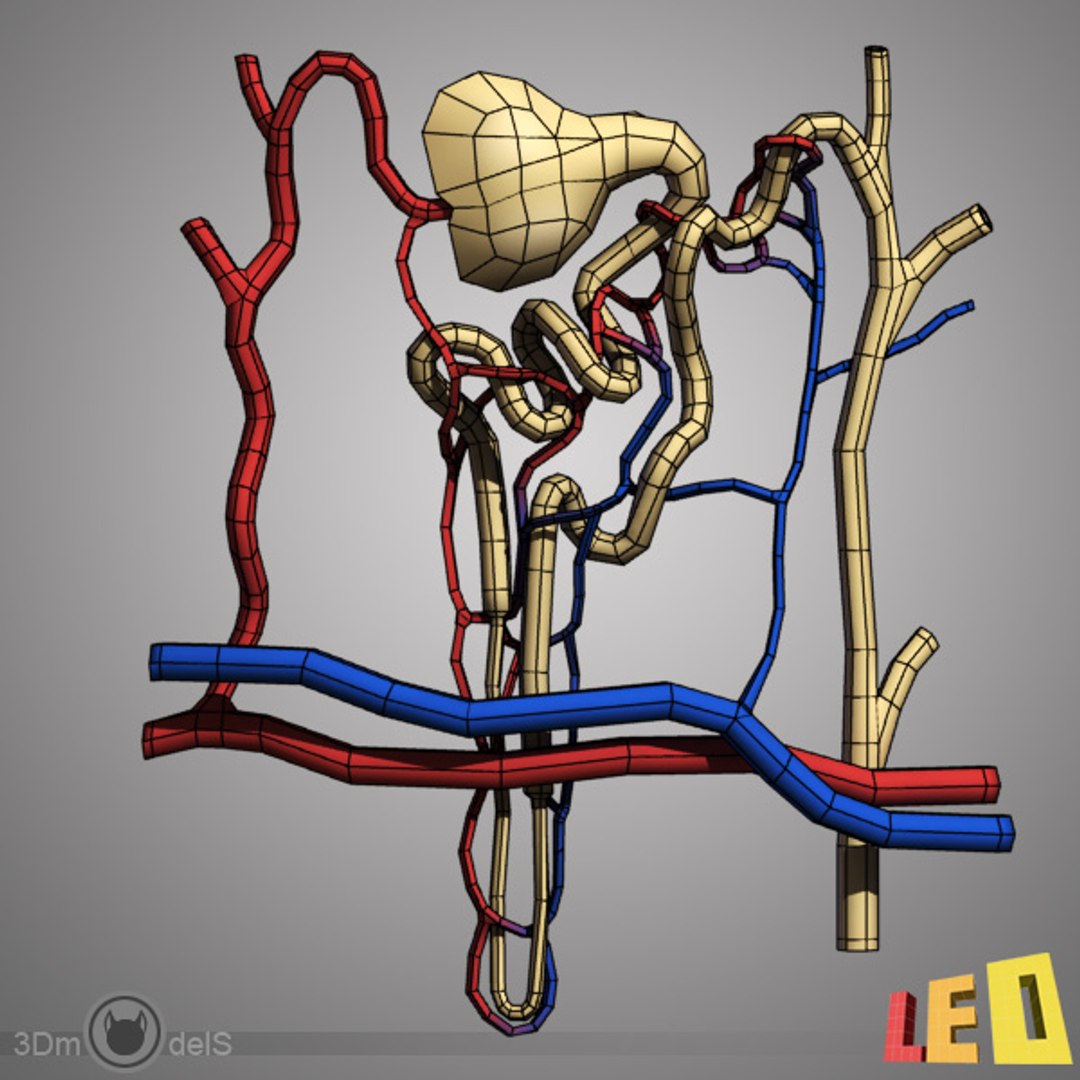 3dsmax Nephron