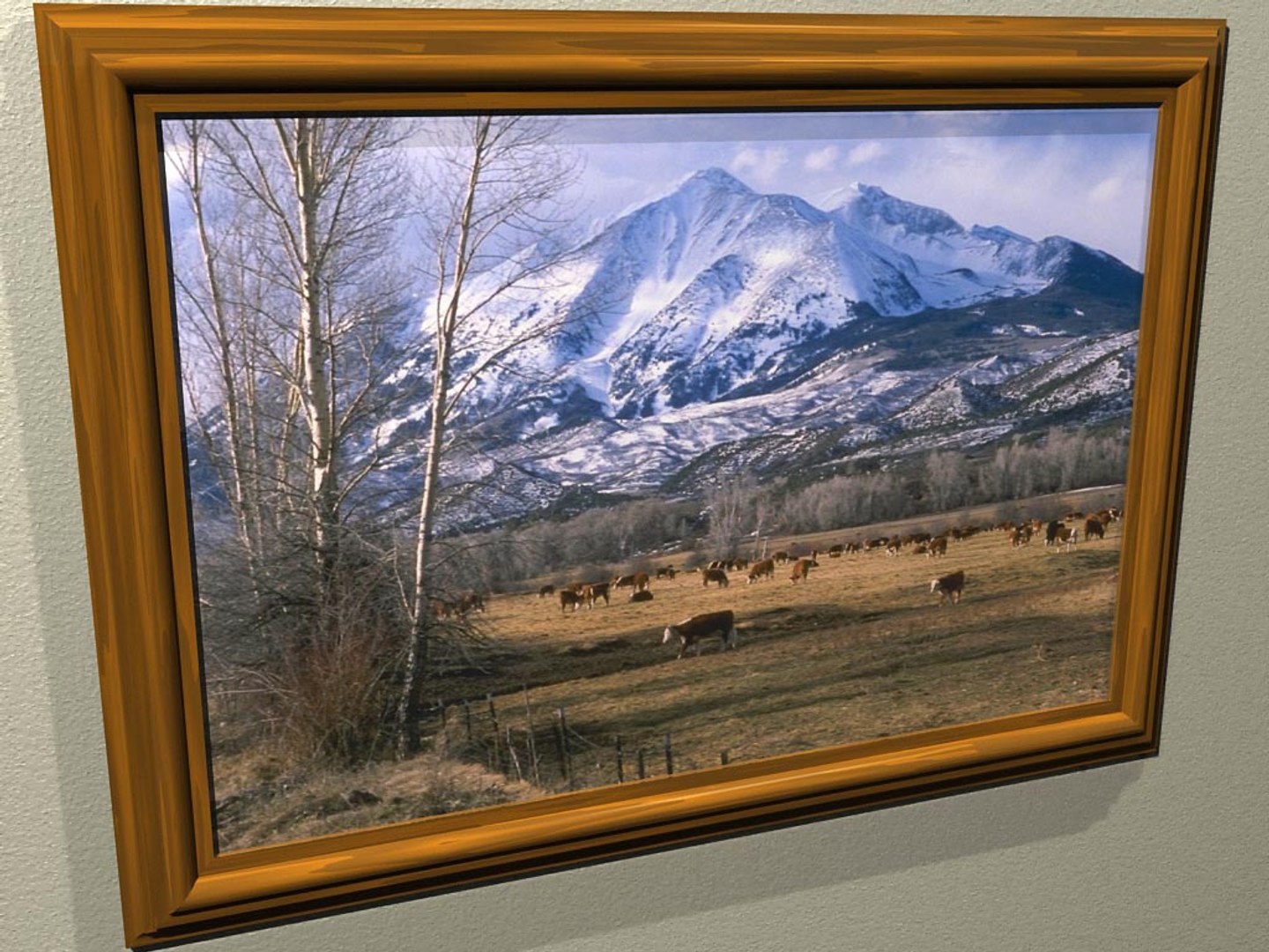 Lightwave Picture Frame