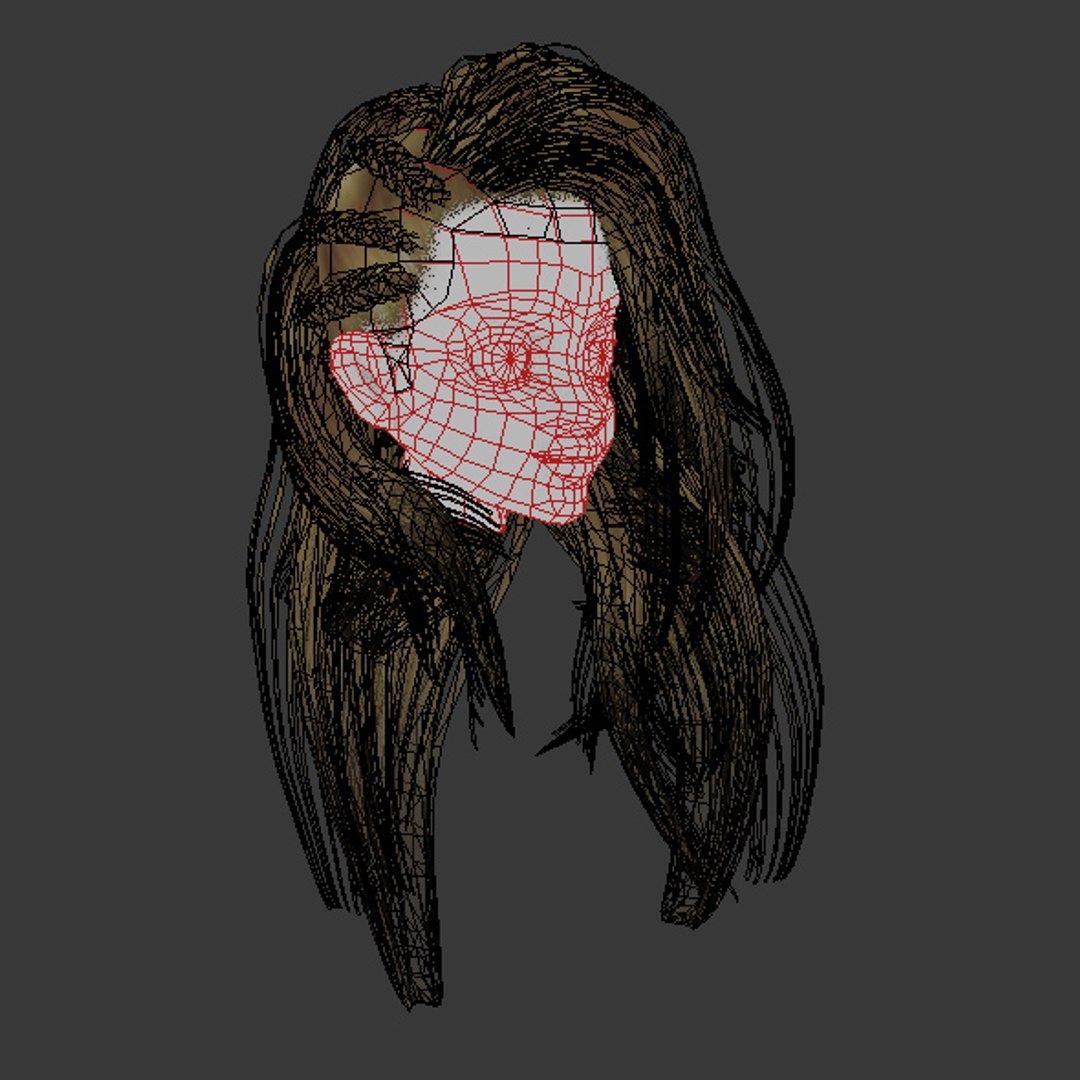 Hair Animation 3d Model
