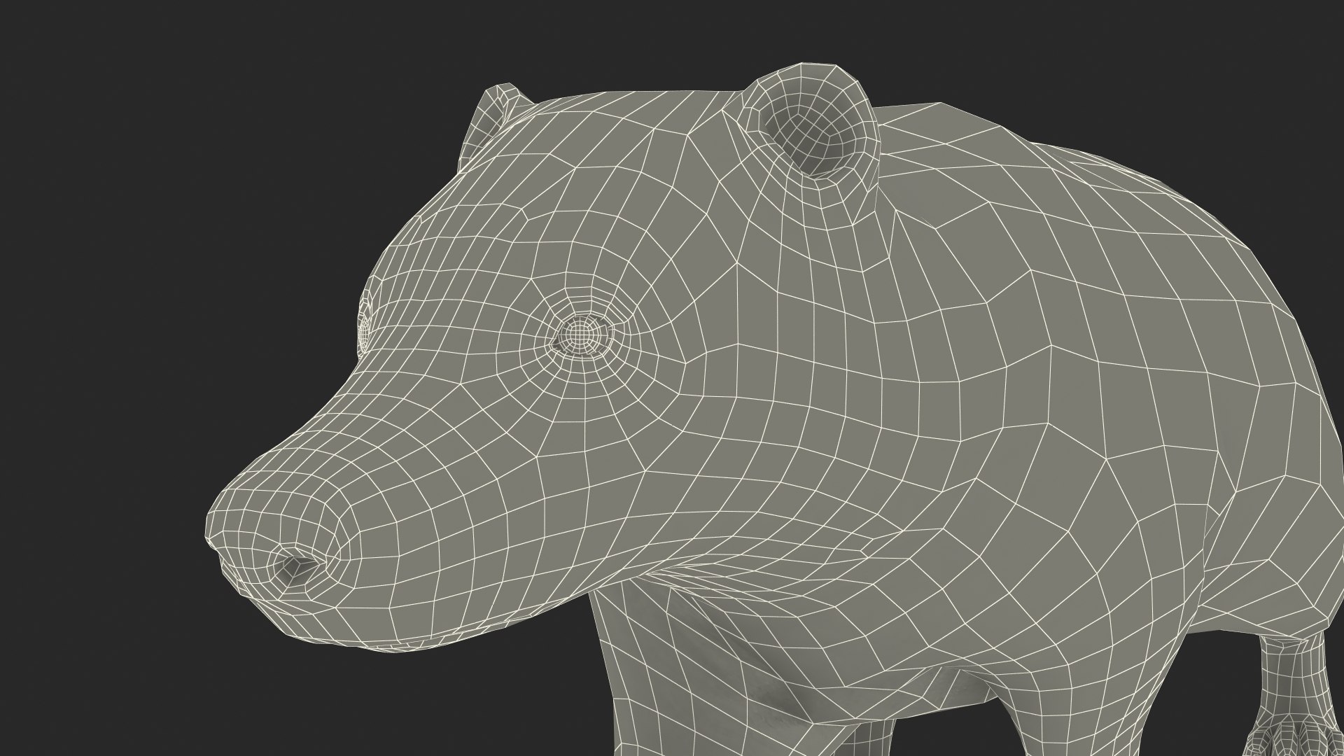Walking Badger 3D Model - TurboSquid 2081352