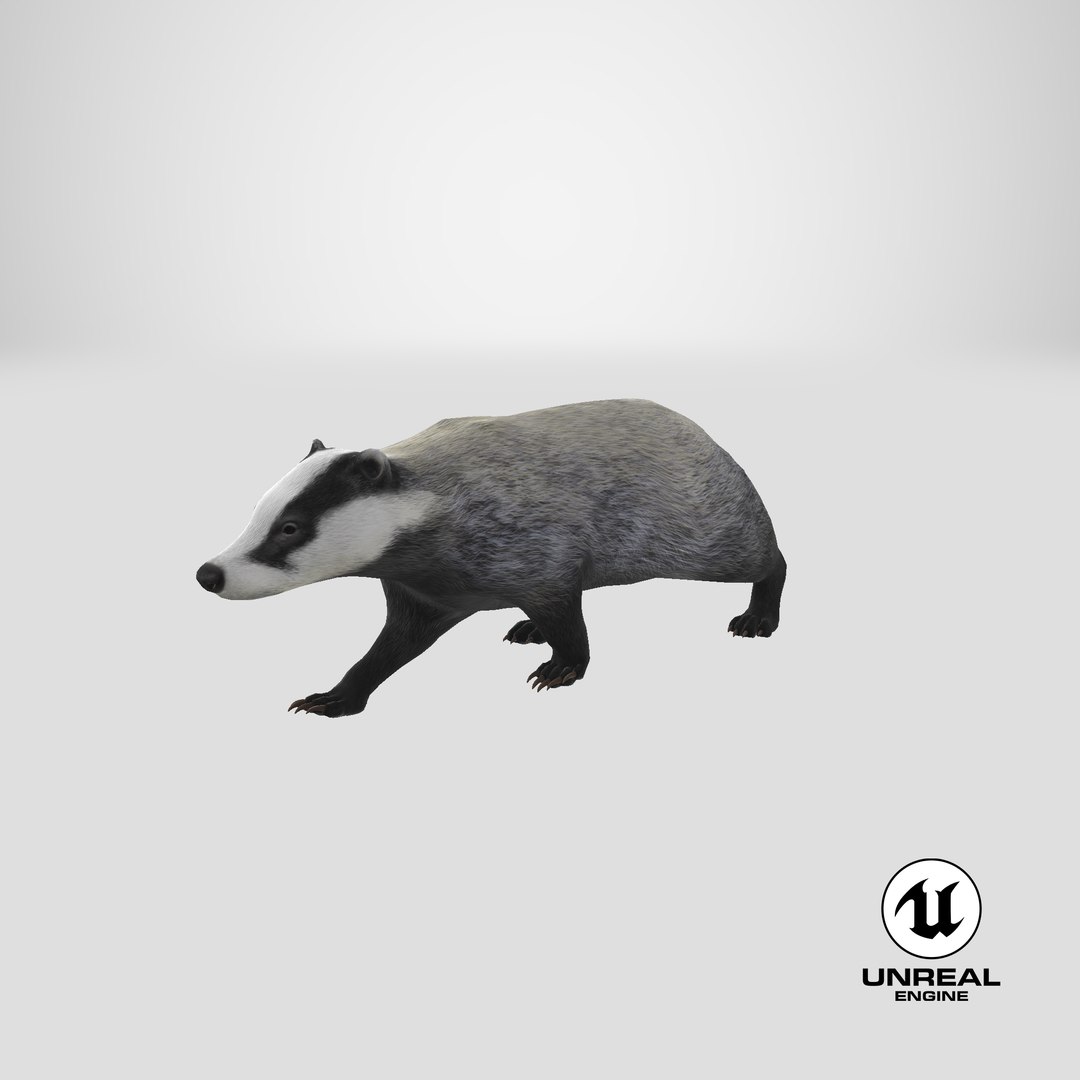 Walking Badger 3D Model - TurboSquid 2081352