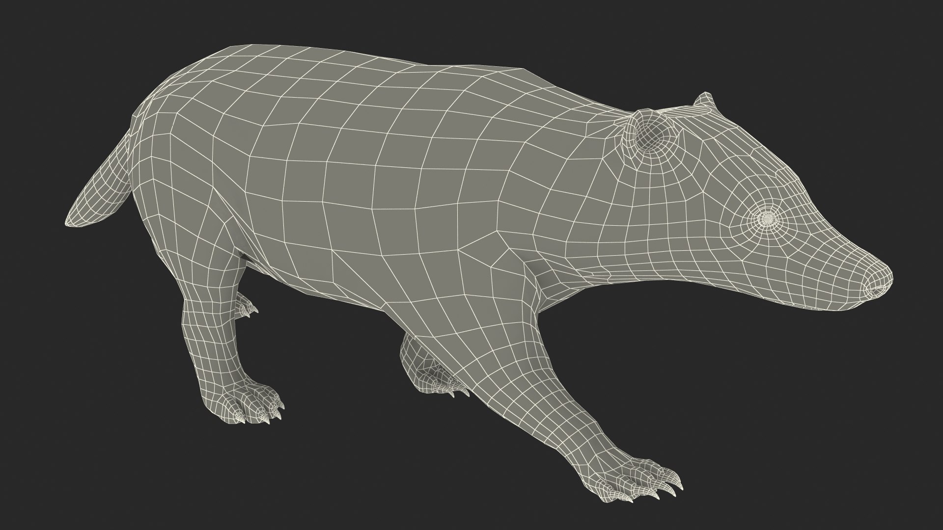 Walking Badger 3D Model - TurboSquid 2081352