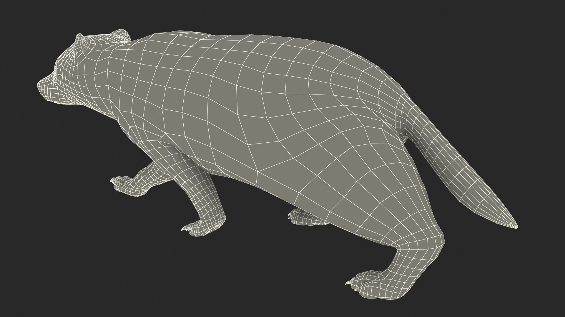 Walking Badger 3D Model - TurboSquid 2081352