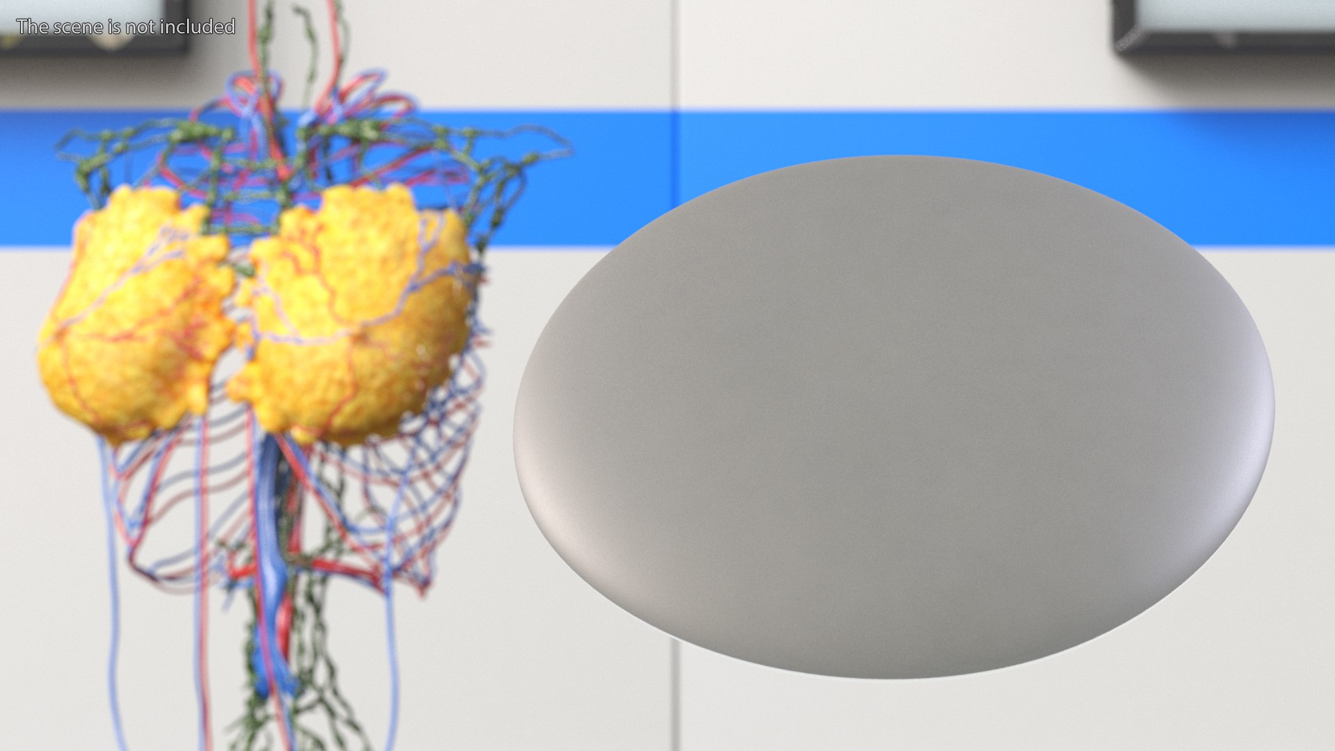 3D Low Textured Breast Implant - TurboSquid 2161354