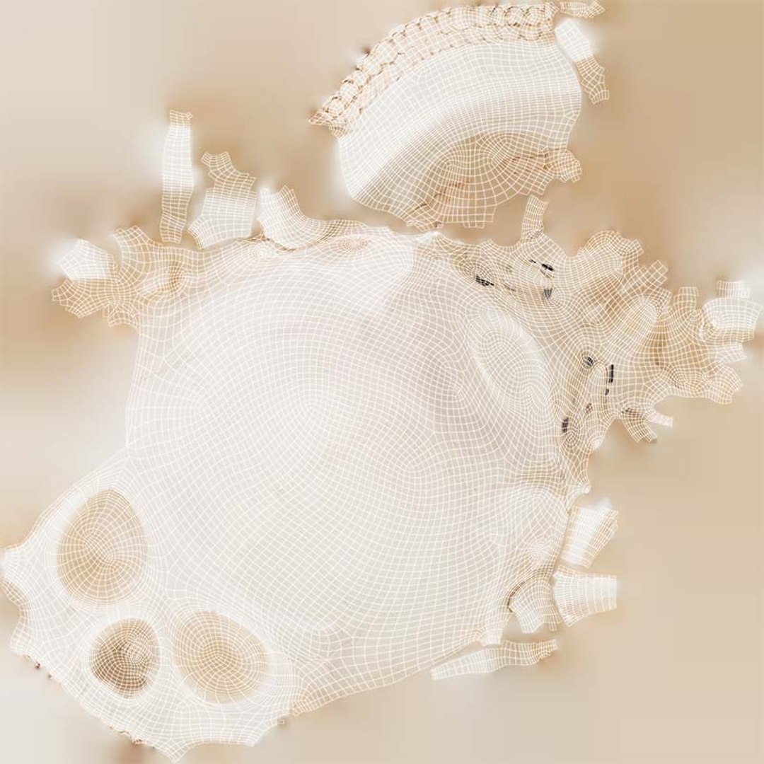 3D Human Skull Remastered - TurboSquid 2359846