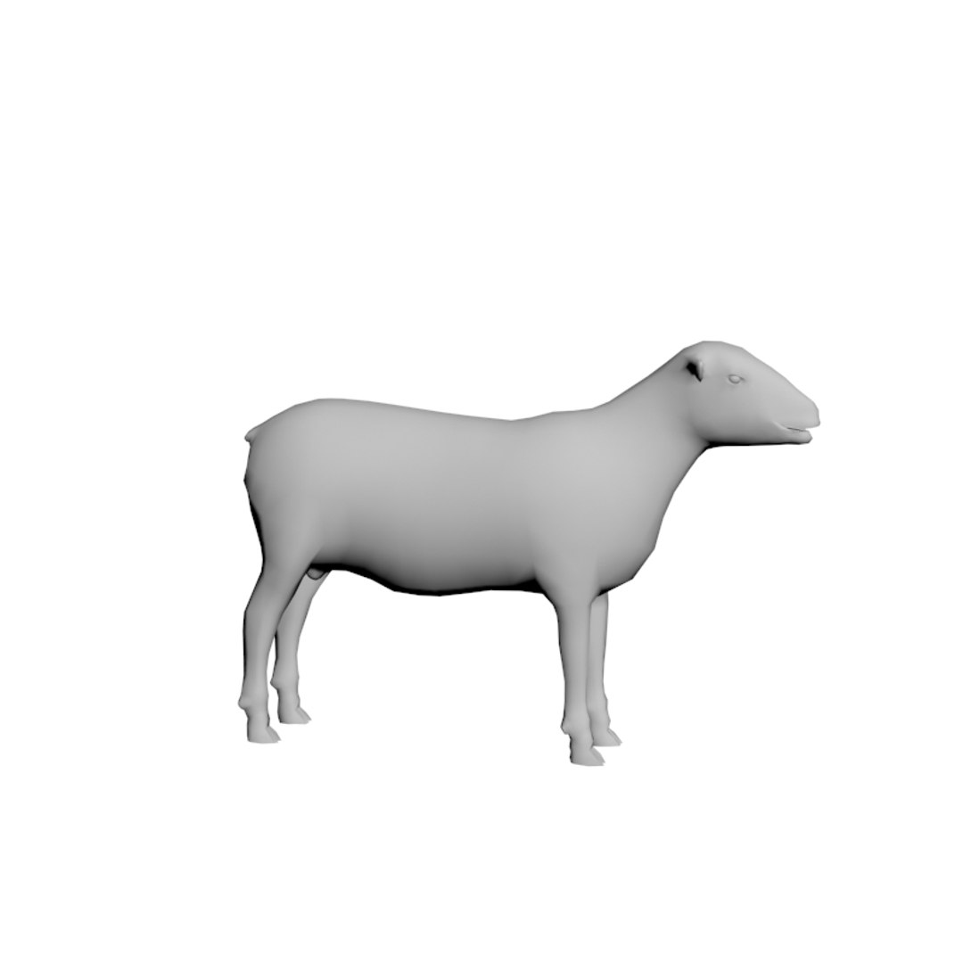 Sheep 3D Model - TurboSquid 1165386