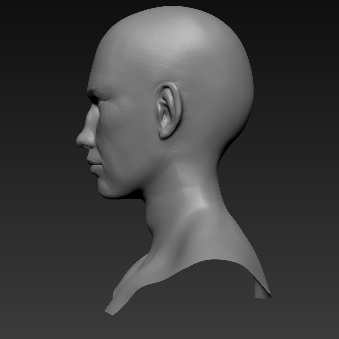 realistic head 3d model