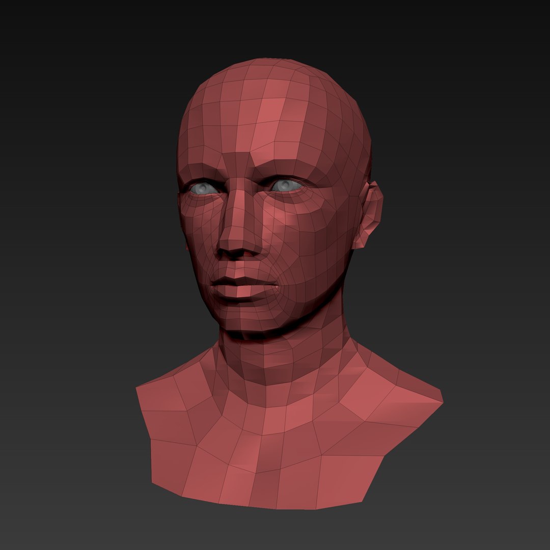 realistic head 3d model