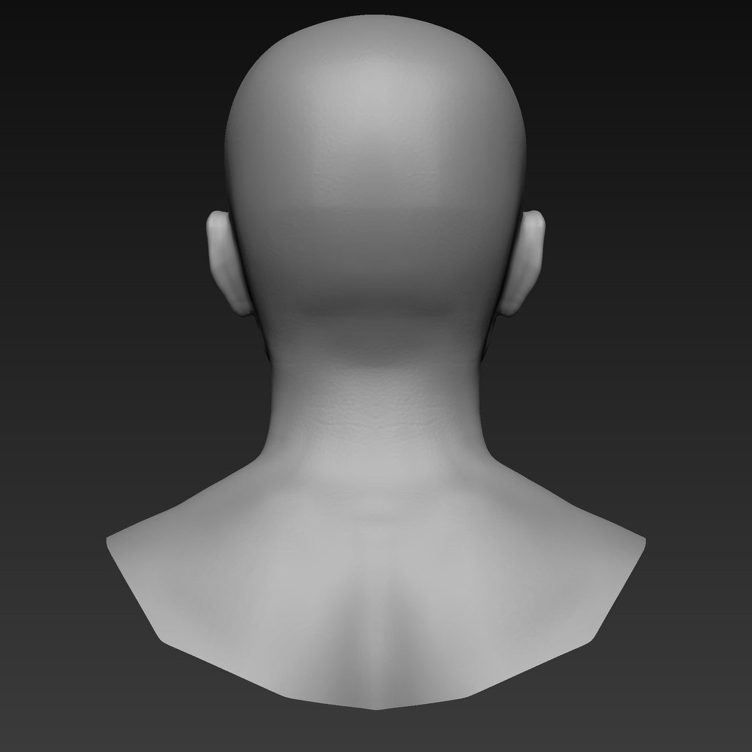 realistic head 3d model